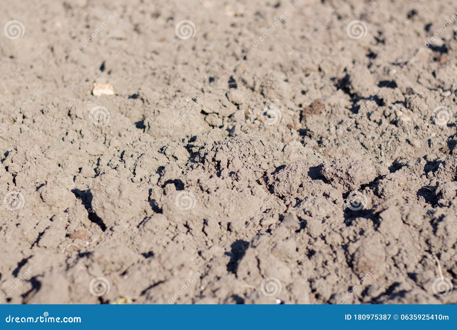 Ground texture closeup stock image. Image of texture - 180975387