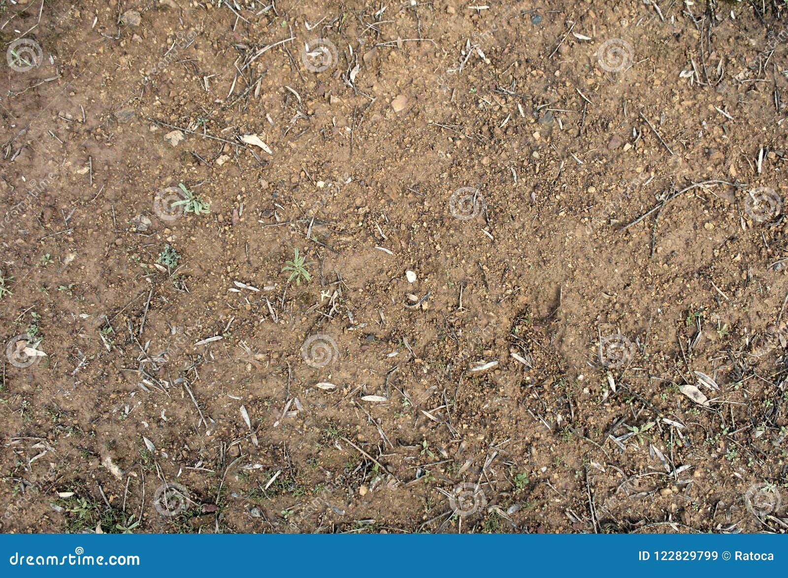 Ground texture stock image. Image of detail, abstract - 122829799