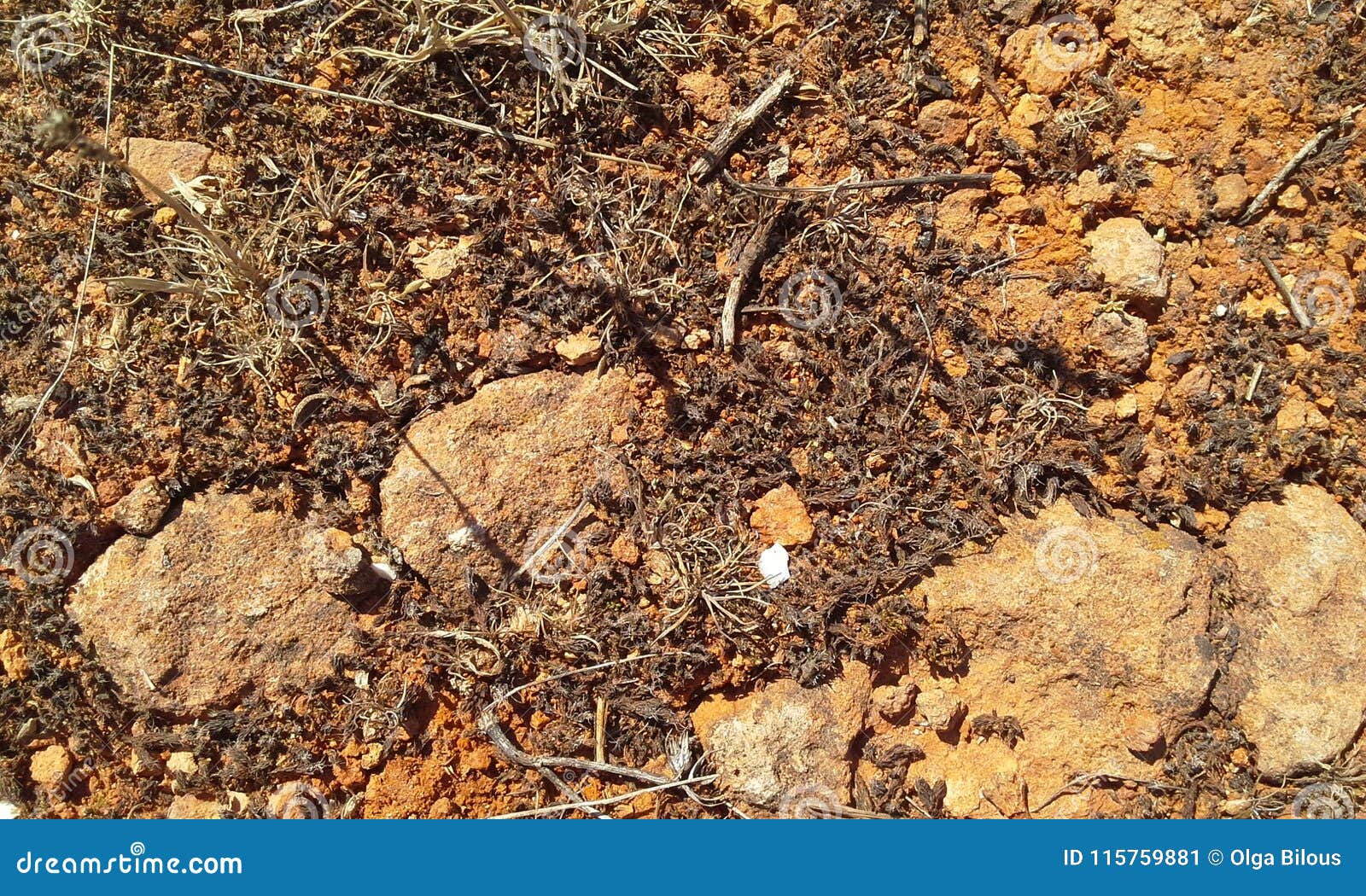 Ground texture stock image. Image of rocks, natural - 115759881