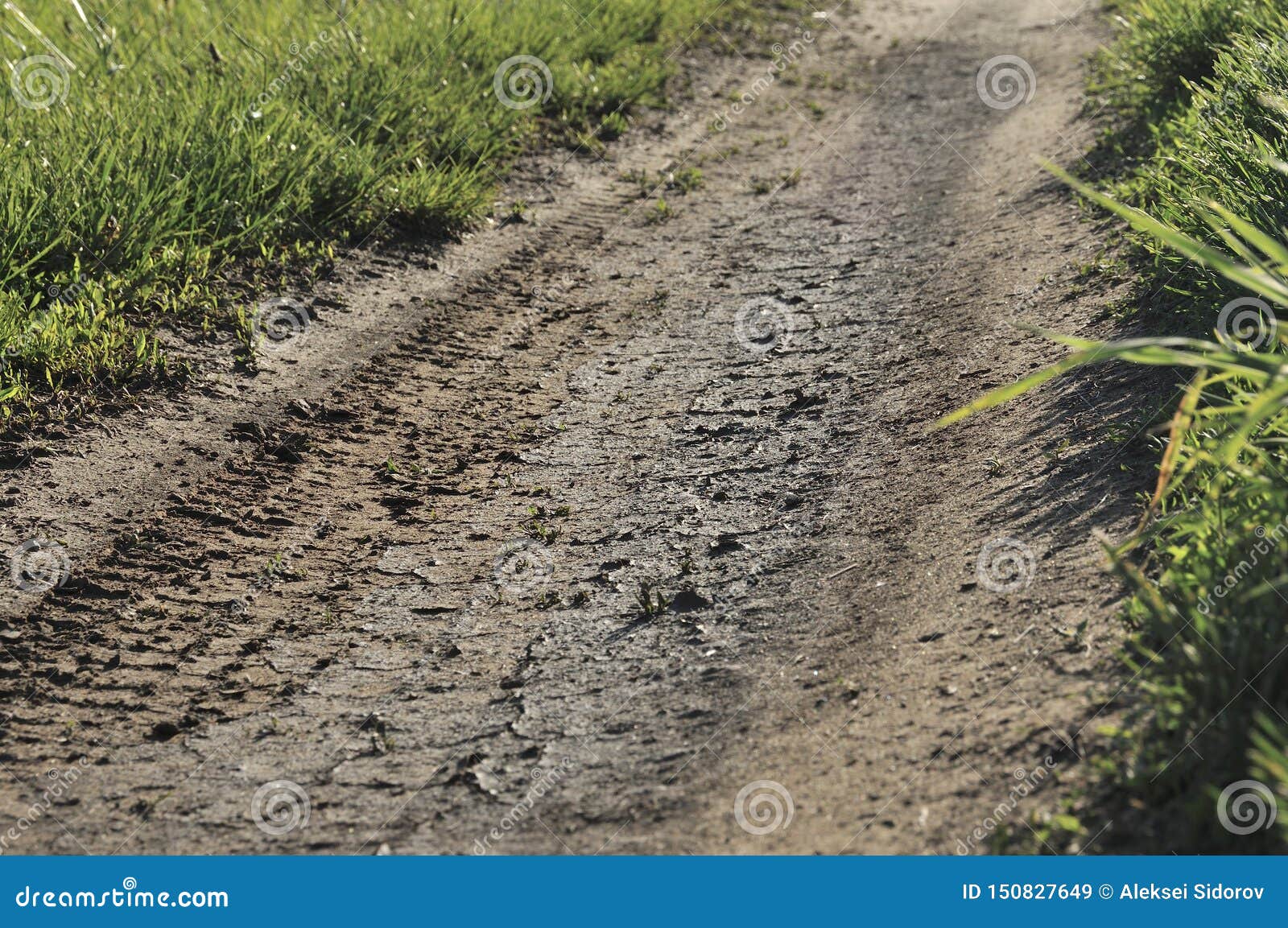 Ground Texture. Top View of a Dark Ground Surface. Close Up Macro View ...