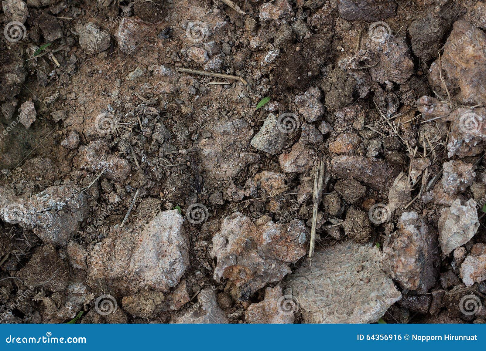 Ground Texture / Wood Texture / Stone Texture Stock Photo - Image of ...