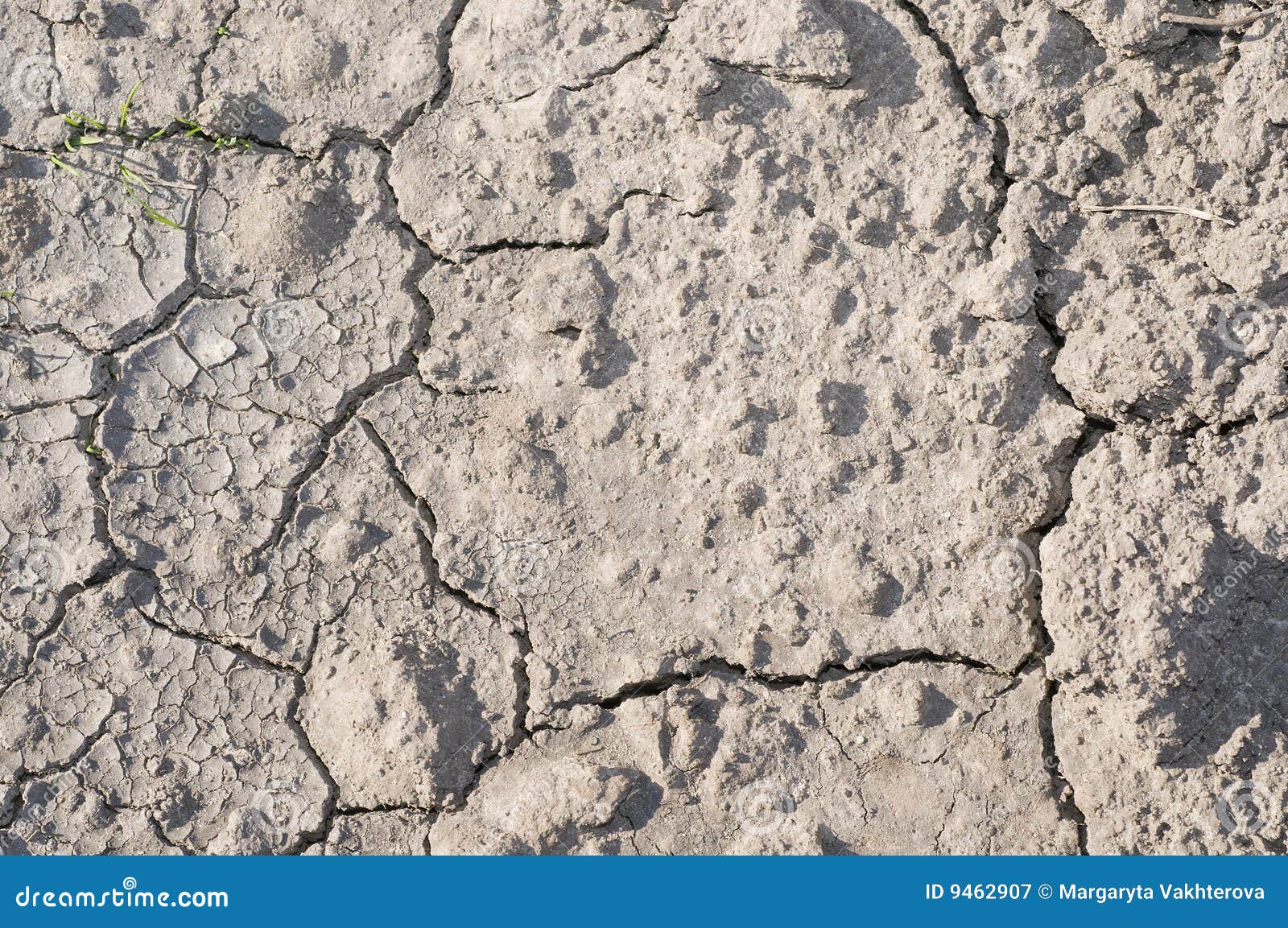 Ground textured background stock image. Image of nature - 9462907