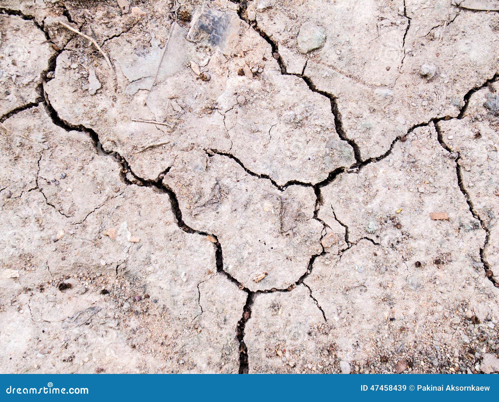 Ground was broken stock image. Image of built, flower - 47458439