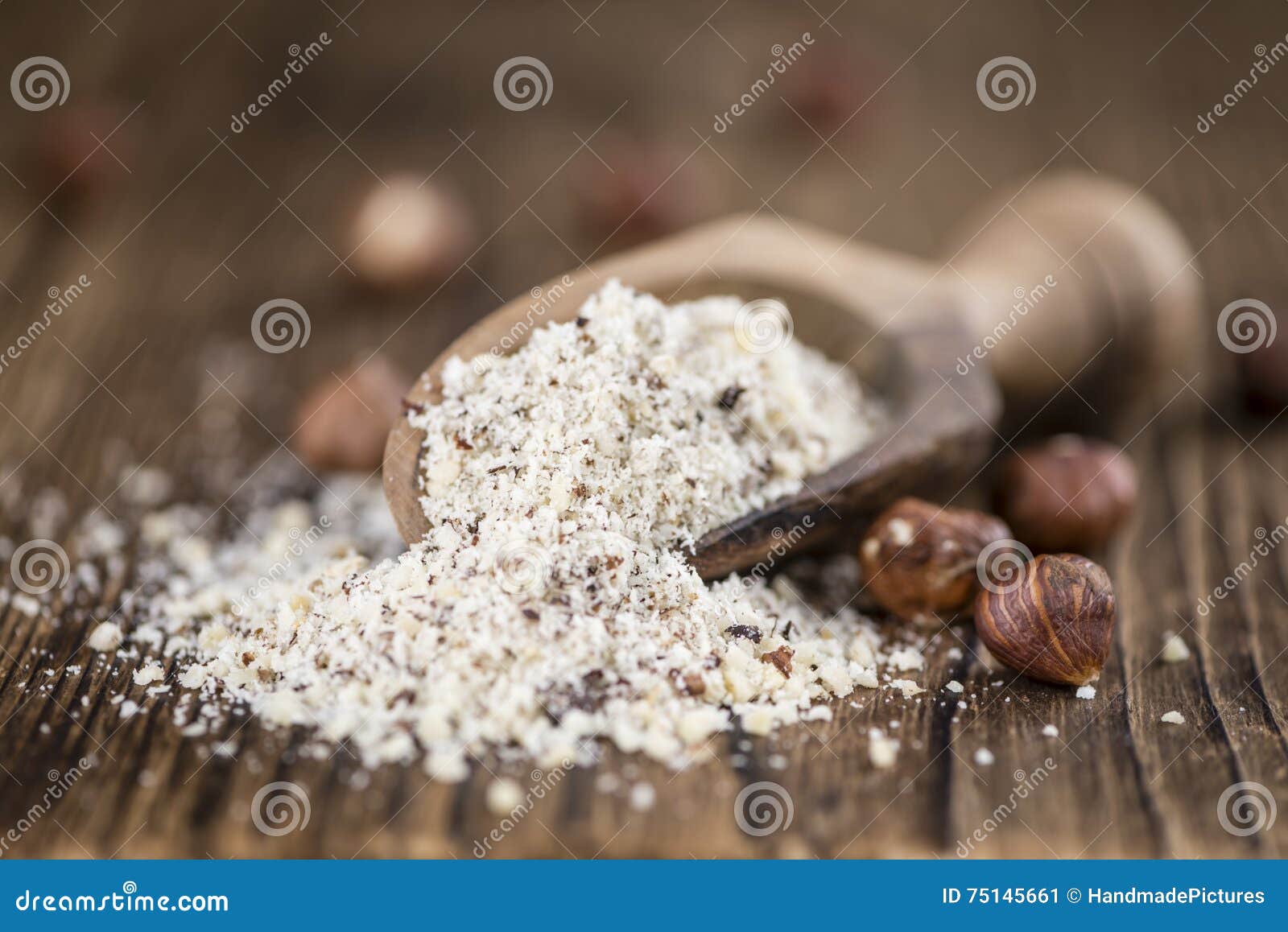 Grounded Hazelnuts stock image. Image of minced, ground - 75145661