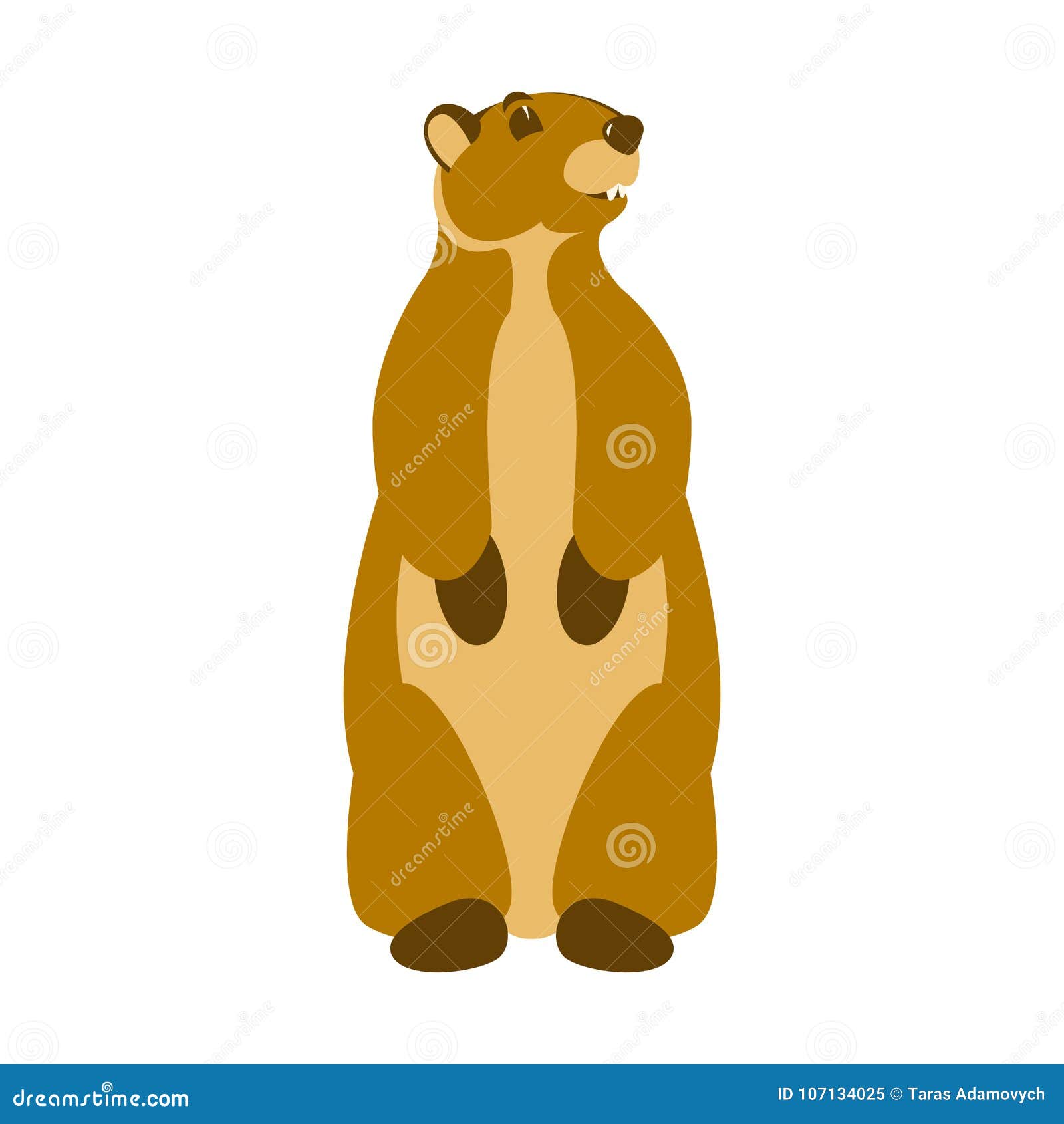 Groundhog Vector Icon On White Background. Flat Vector Groundhog Icon ...