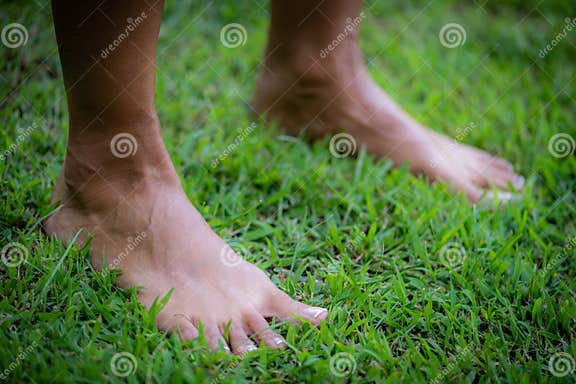 Grounding or Earthing Practice Stock Image - Image of meditation, real ... Grounding or Earthing Practice Stock Image - Image of meditation, real ...
