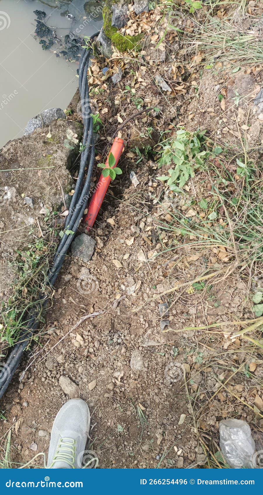 Grounding Internet network stock photo. Image of network - 266254496