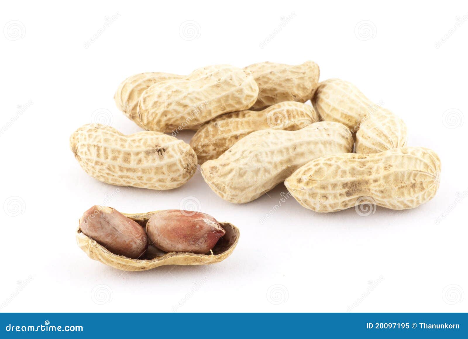 Groundnut stock image. Image of white, healthy, isolated - 20097195
