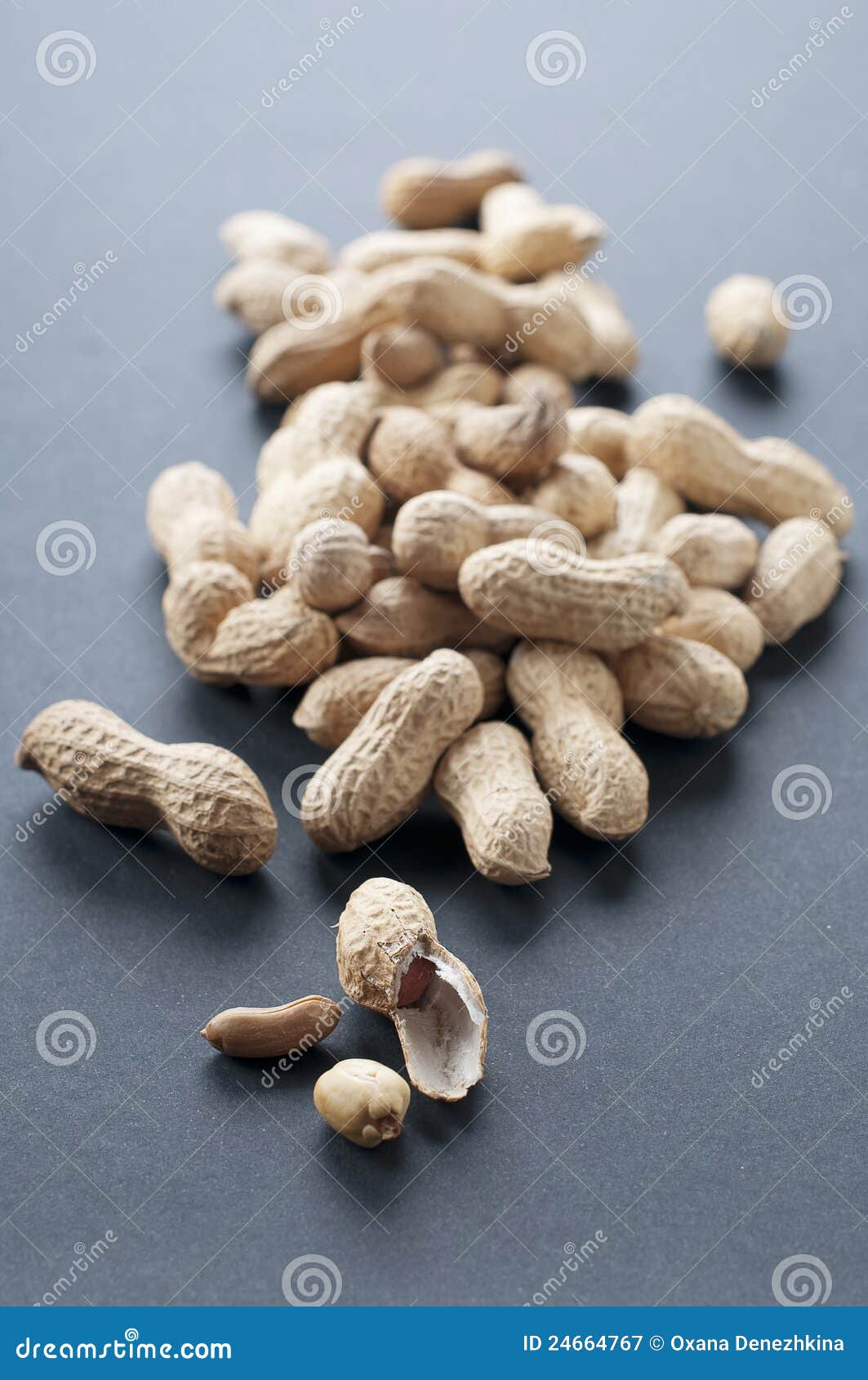 Groundnut stock image. Image of gray, health, nature - 24664767