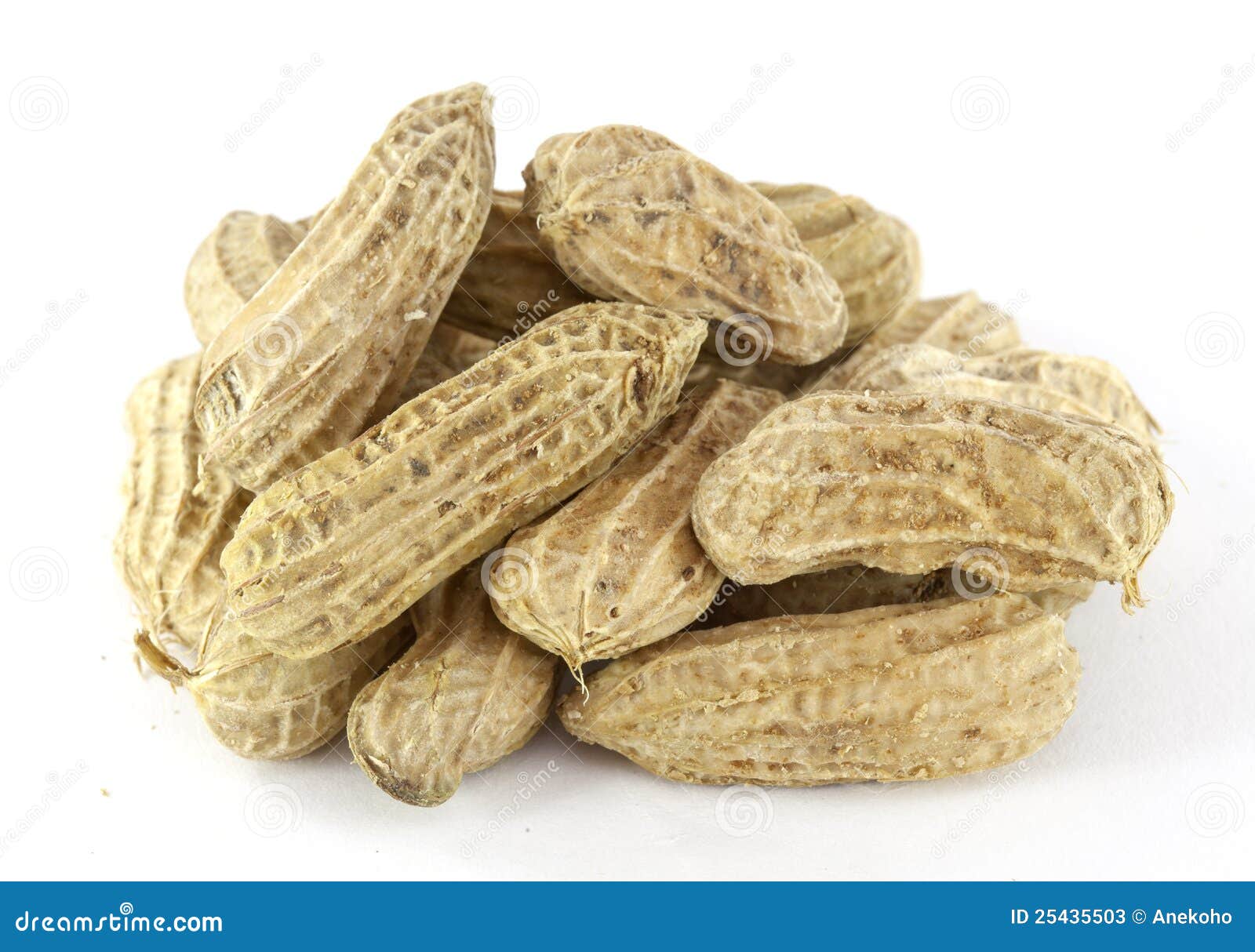 Groundnut stock image. Image of macro, healthy, isolated - 25435503