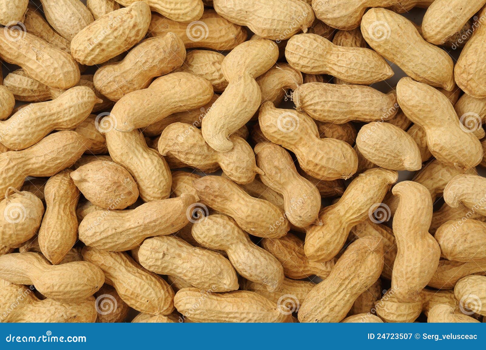 Groundnut background stock image. Image of dried, groundnut - 24723507