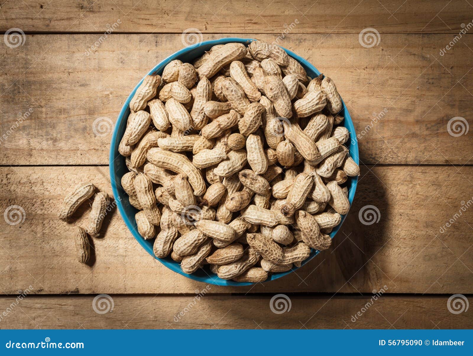 Groundnut stock photo. Image of grow, ground, goober - 56795090