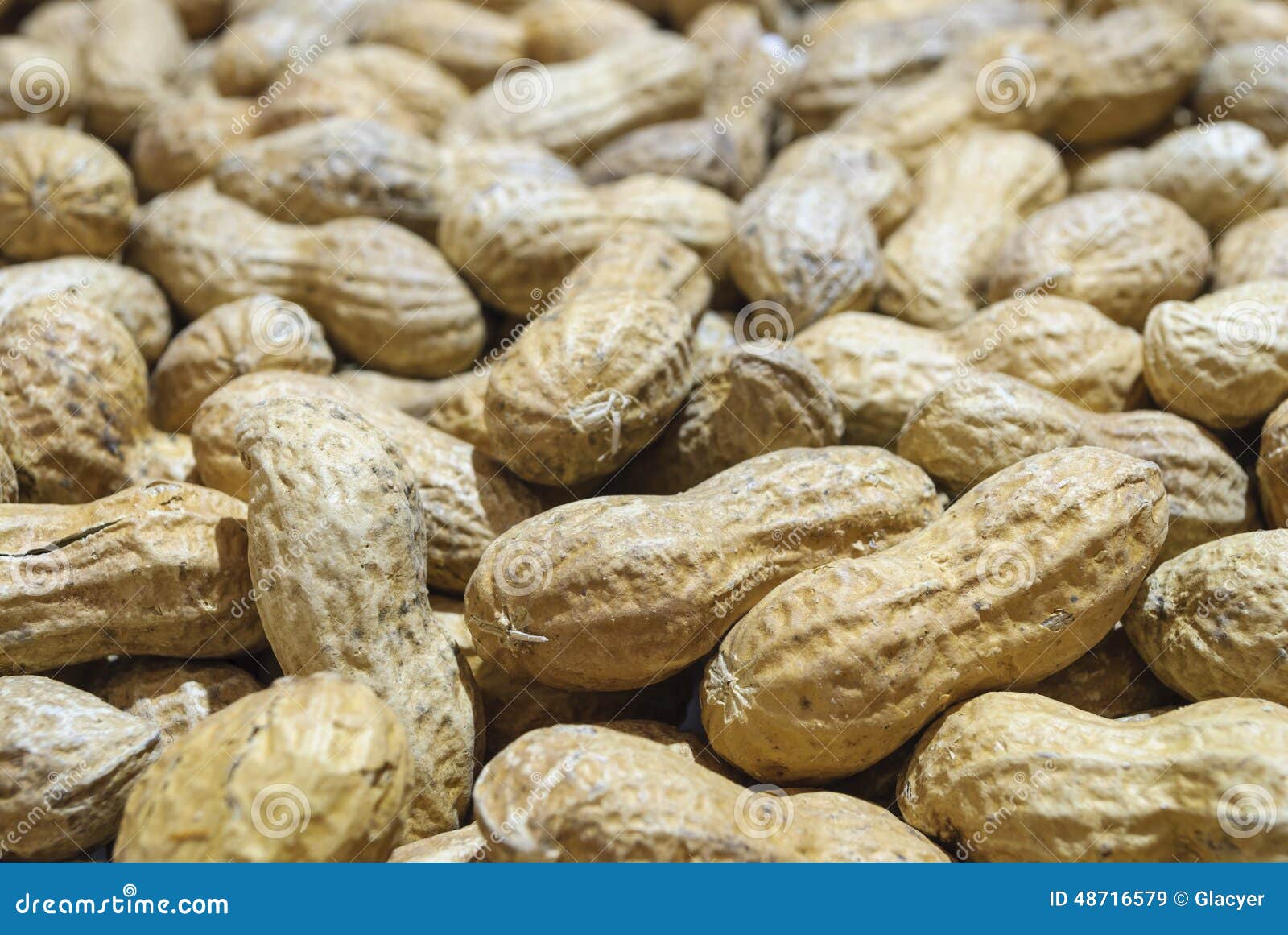 Groundnut stock image. Image of healthy, natural, nutrition - 48716579