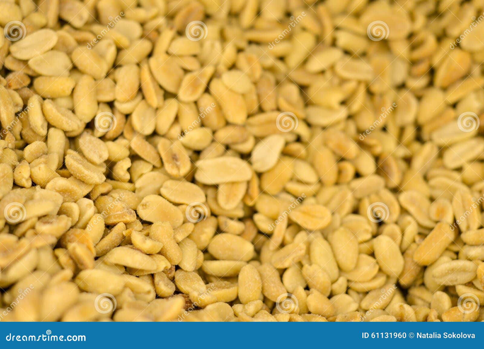 Groundnut. stock photo. Image of nutritious, store, close - 61131960