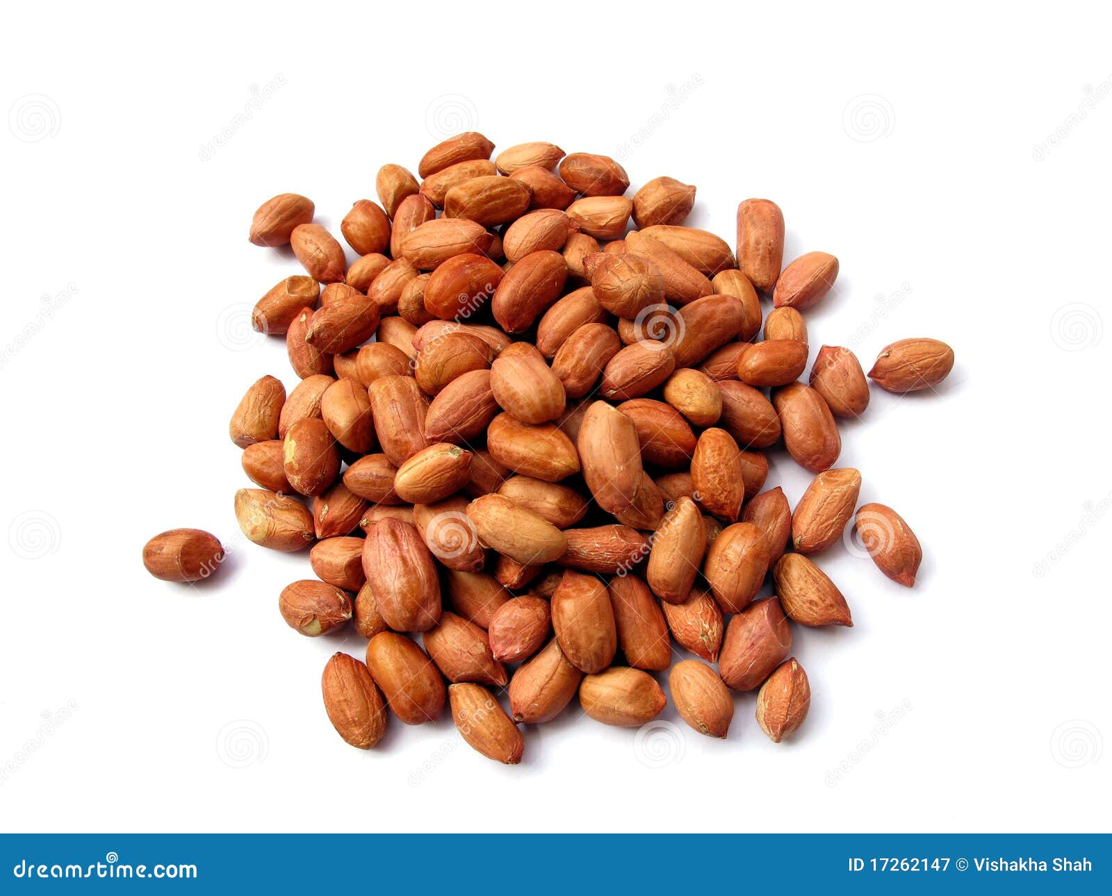 Groundnut-Isolated stock image. Image of nutritional - 17262147