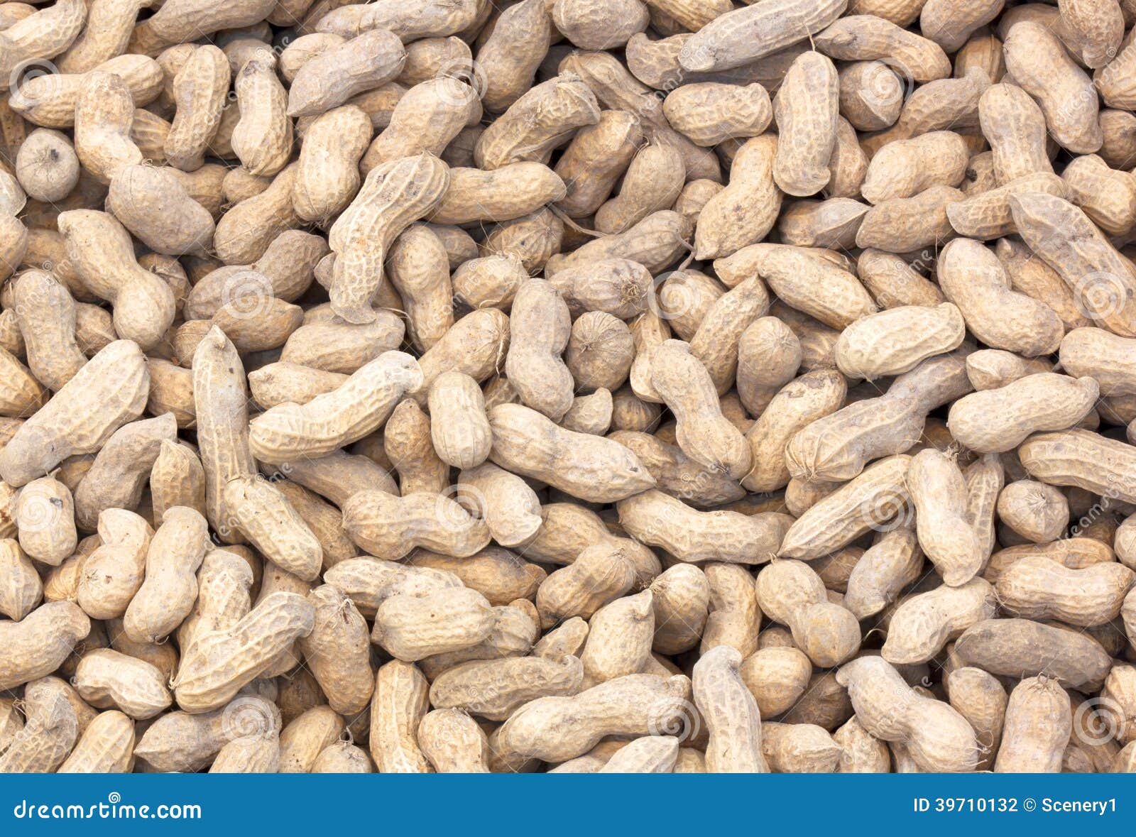 Groundnut stock photo. Image of brown, calories, background - 39710132