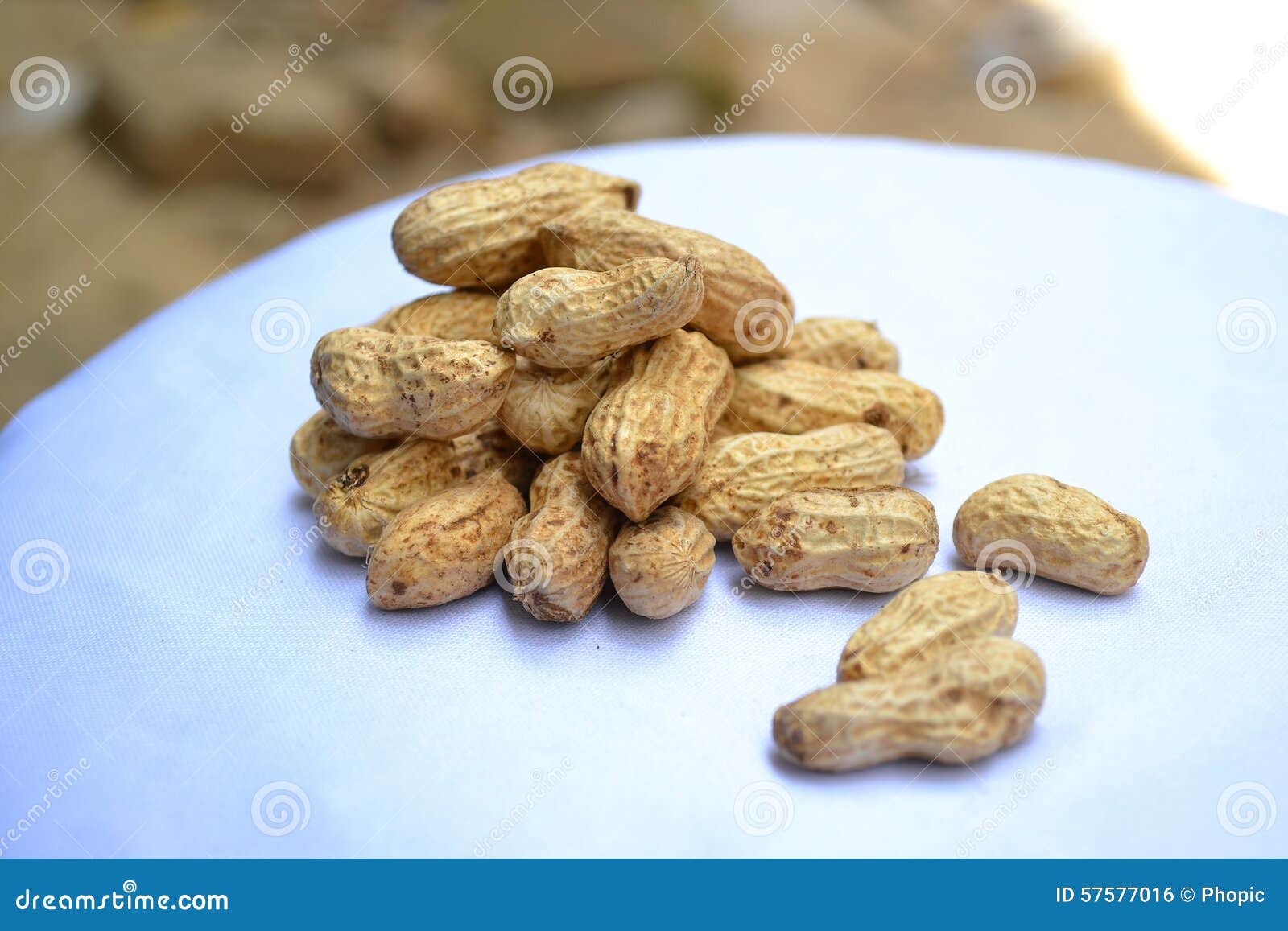 Groundnut in shells stock photo. Image of legume, farm - 57577016