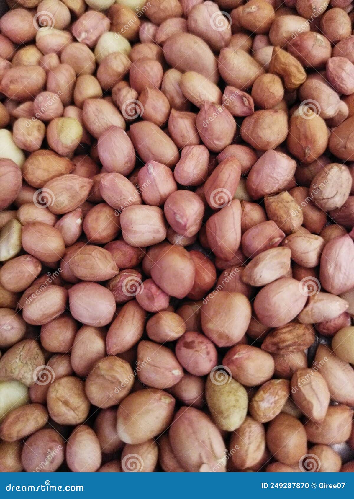 Groundnut Texture Background. Stock Photography | CartoonDealer.com ...