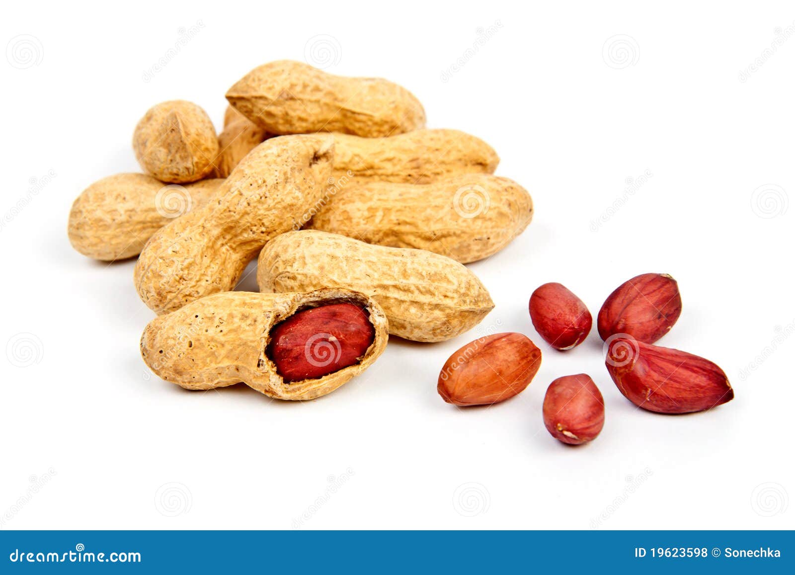 Groundnuts stock photo. Image of pattern, protein, crack - 19623598