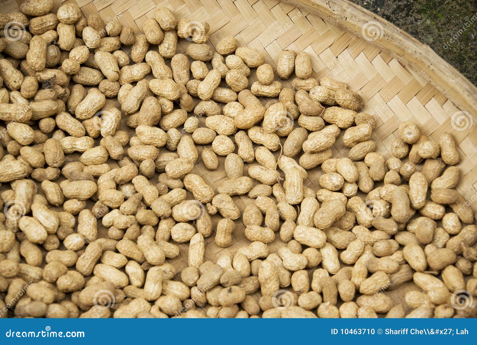 Groundnuts Being Dried stock photo. Image of food, edible - 10463710