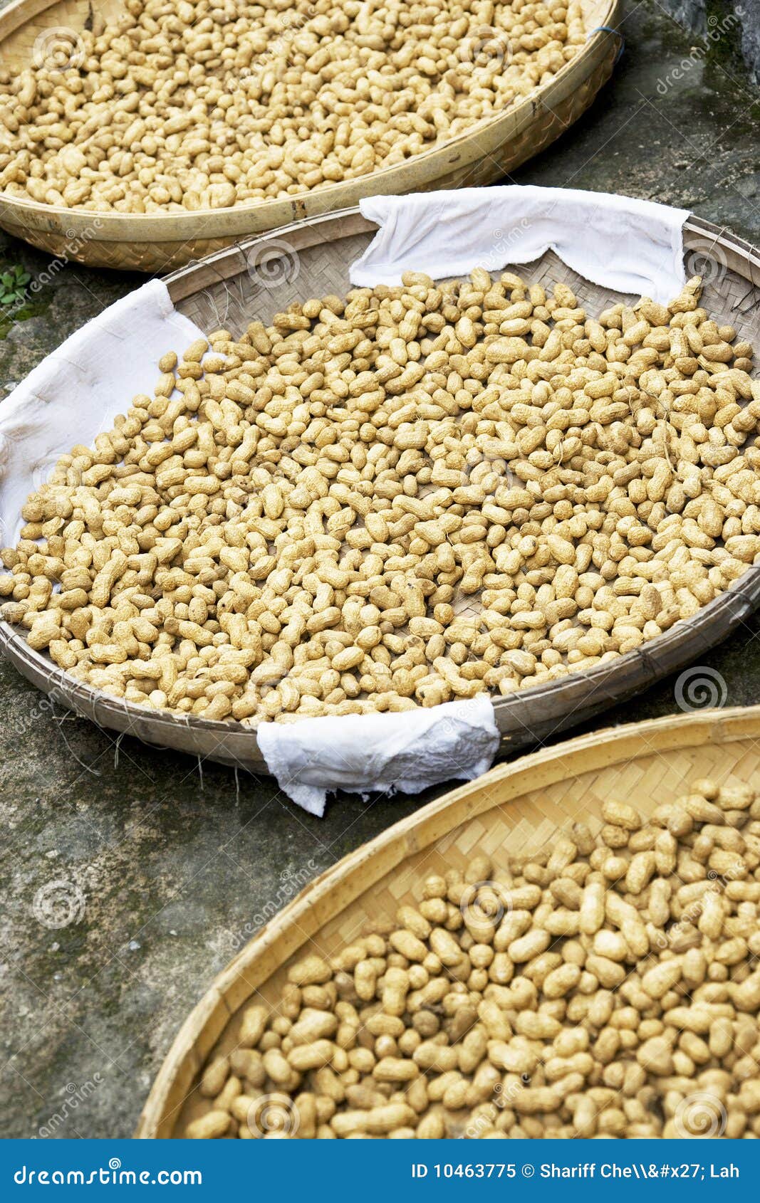 Groundnuts Being Dried stock image. Image of eating, chinese - 10463775