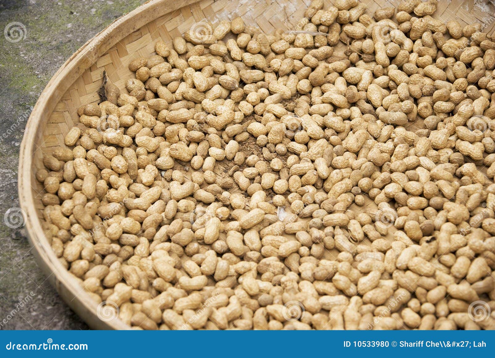 Groundnuts Being Dried stock photo. Image of nature, chinese - 10533980