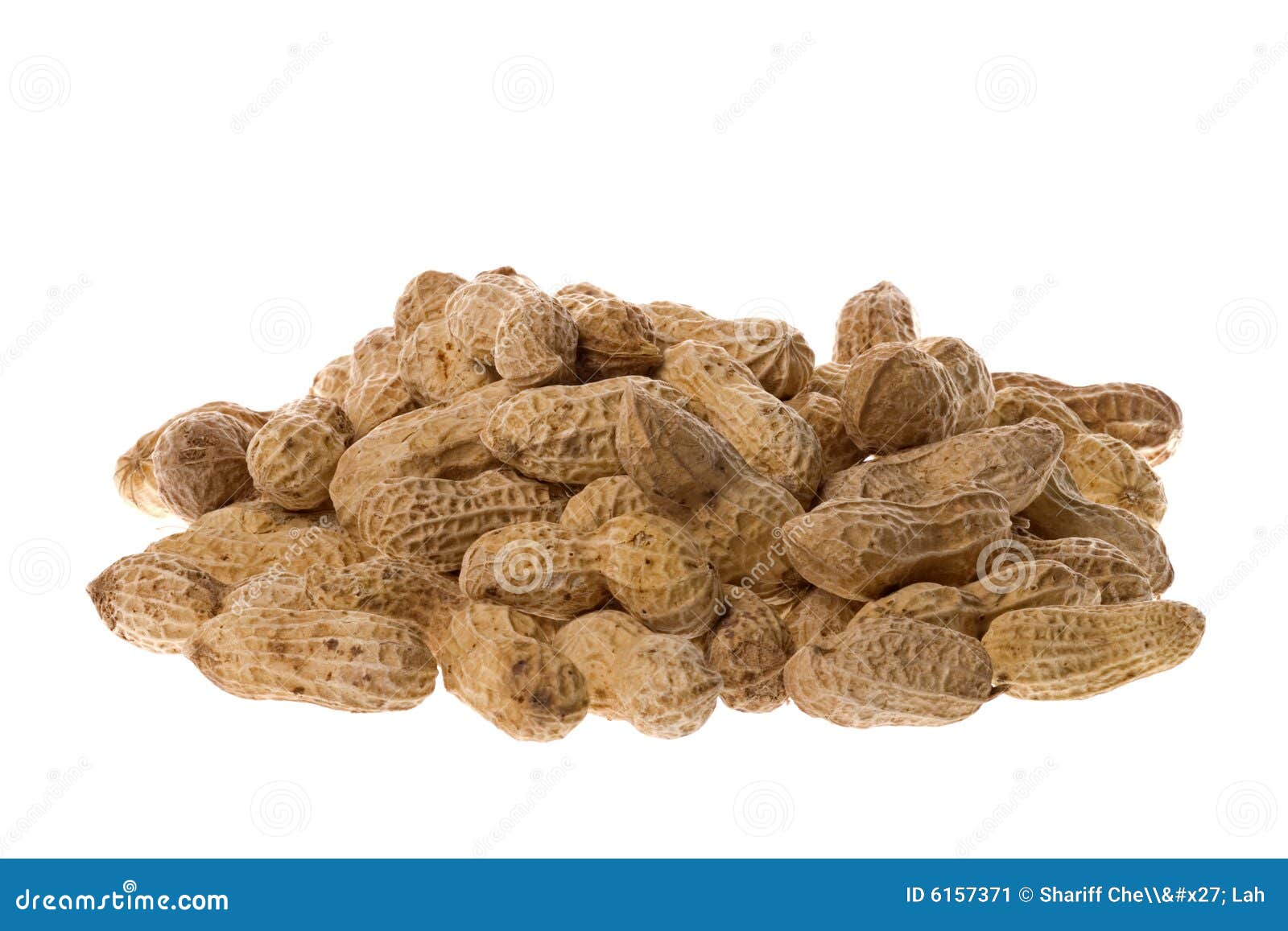 Groundnuts Isolated stock image. Image of protein, healthy - 6157371