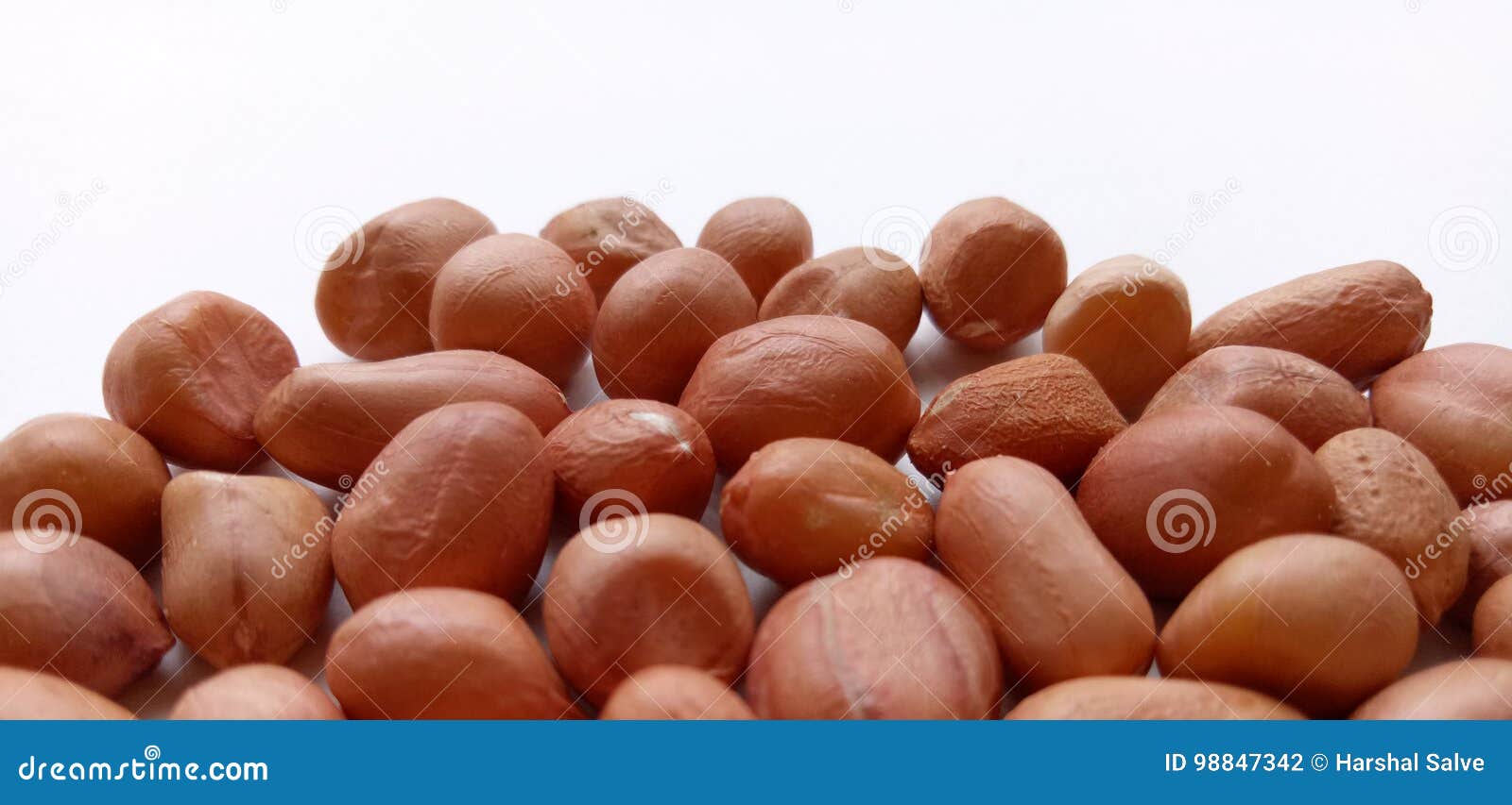 Groundnuts stock photo. Image of healthy, dried, nature - 98847342