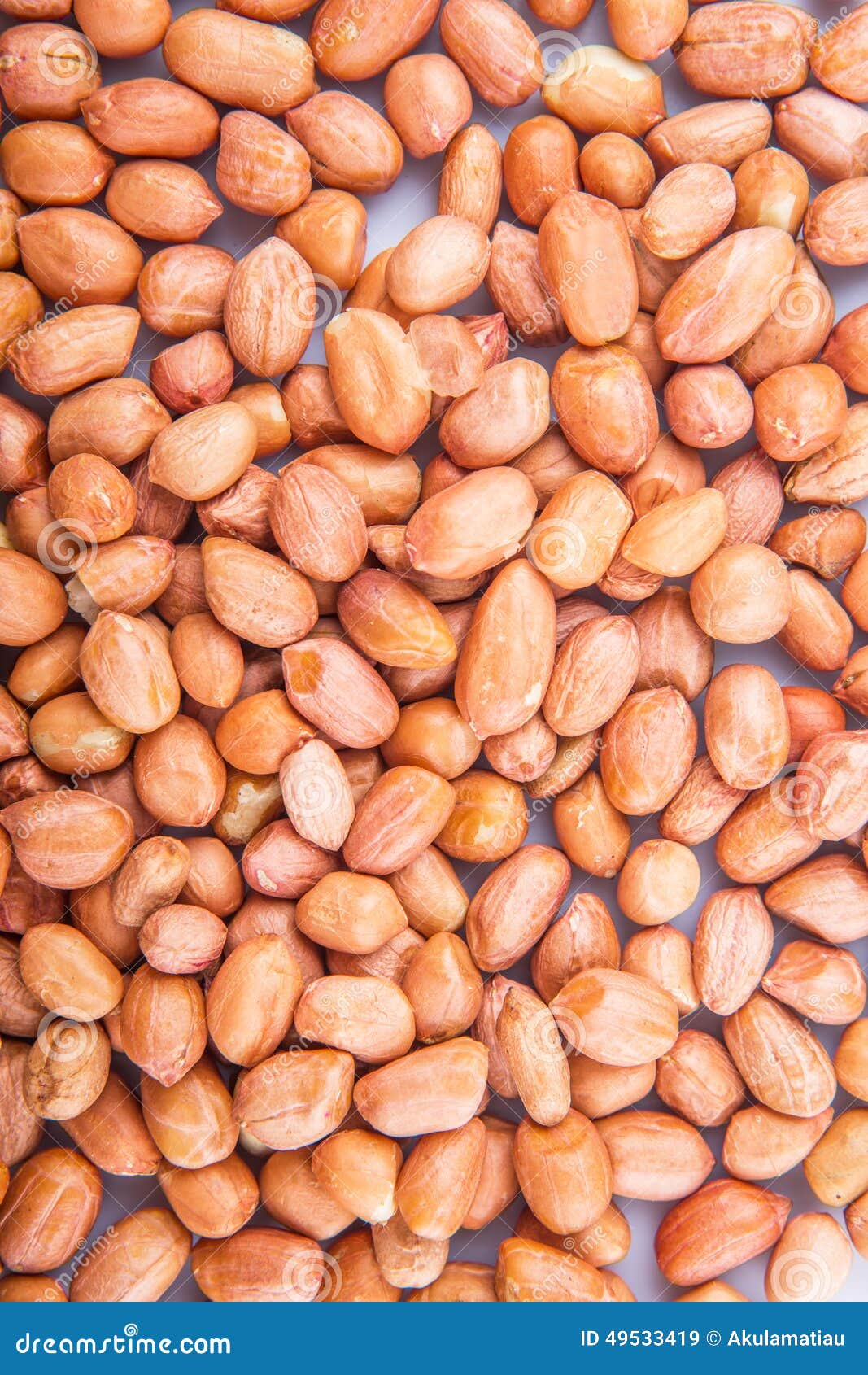 Groundnuts or Peanuts Close Up View I Stock Image - Image of crop ...