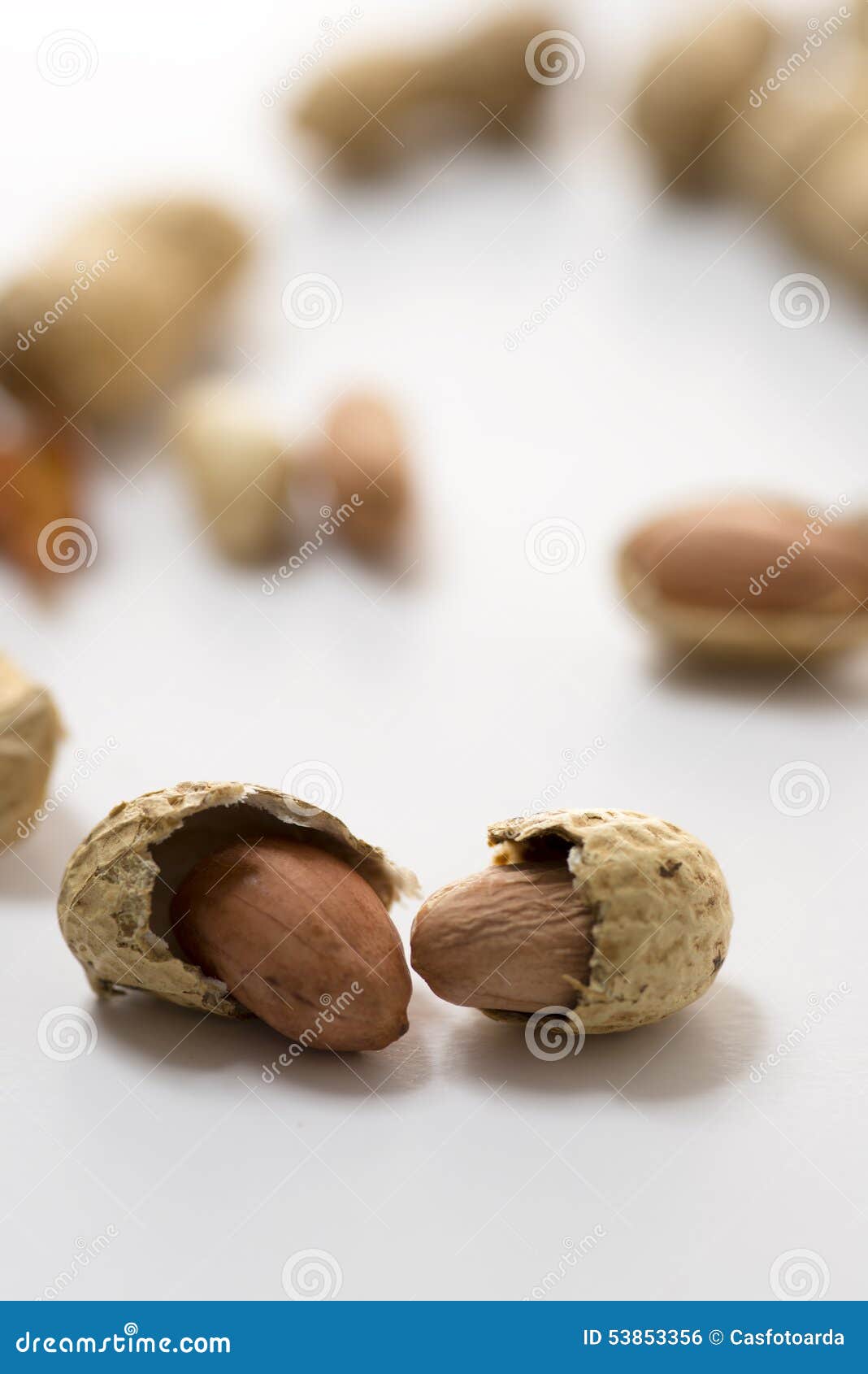 Groundnuts stock photo. Image of nutshell, peanut, nutrition - 53853356