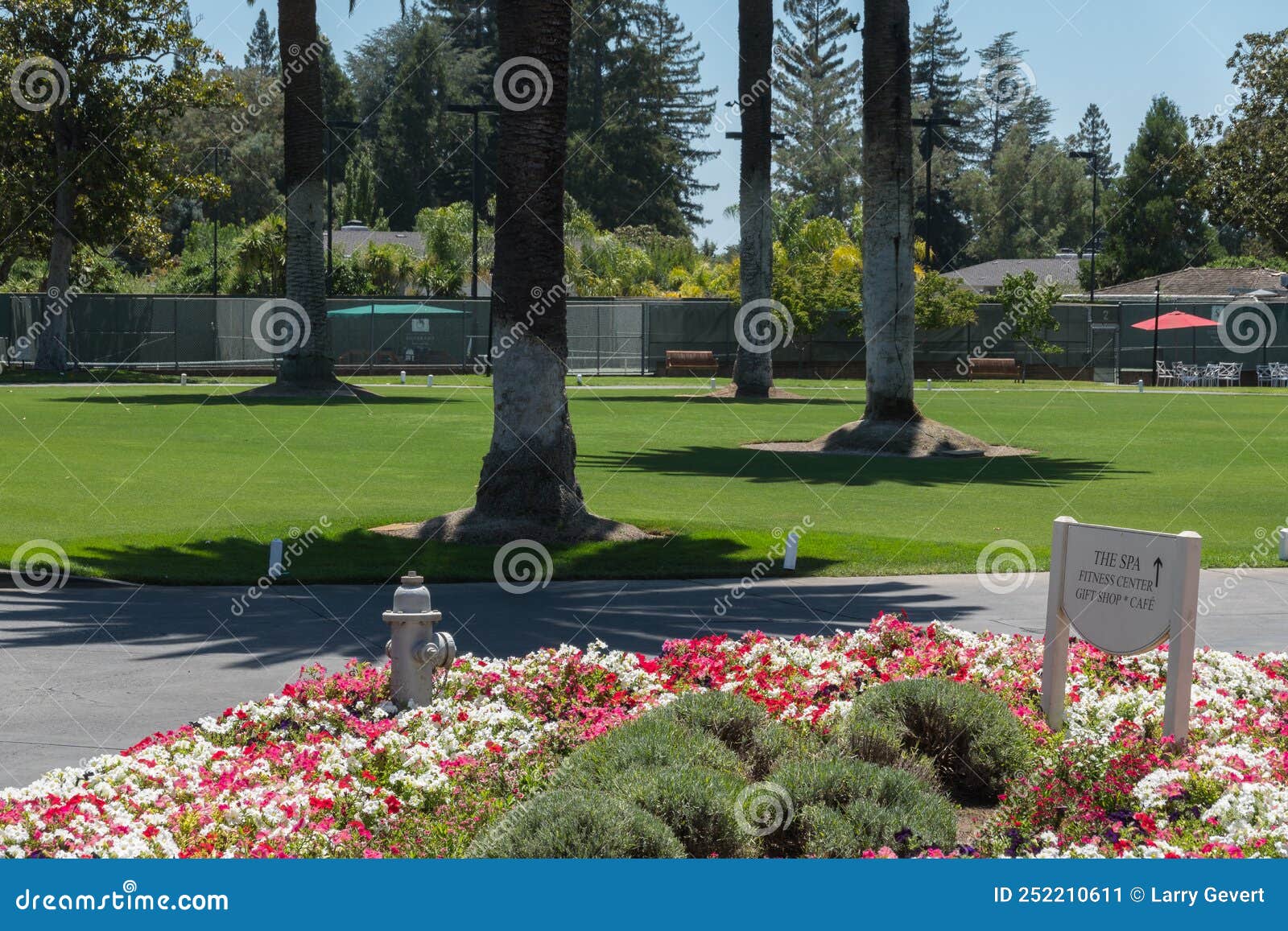 The Grounds at the Silverado Resort in Napa Stock Image - Image of ...