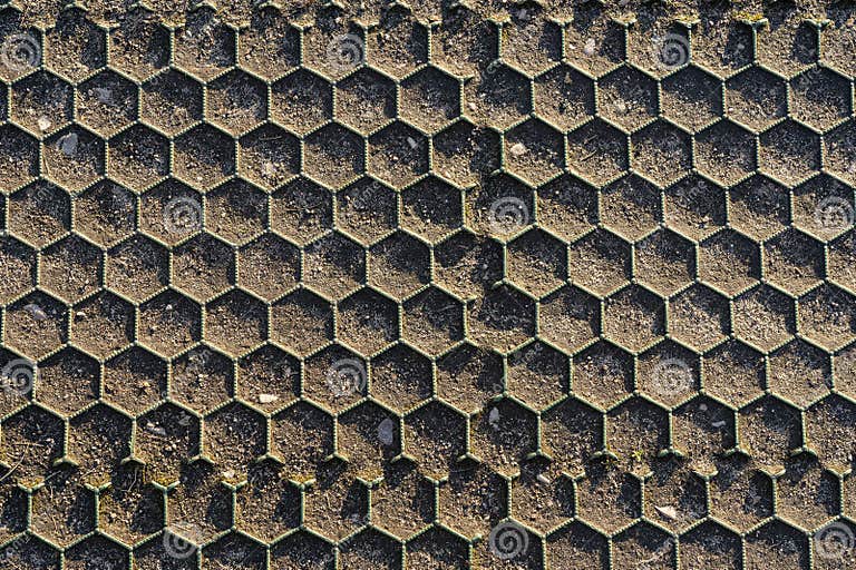 Grounds for Walking. Bee Cells. a Path from Plastic and Sand Stock ...