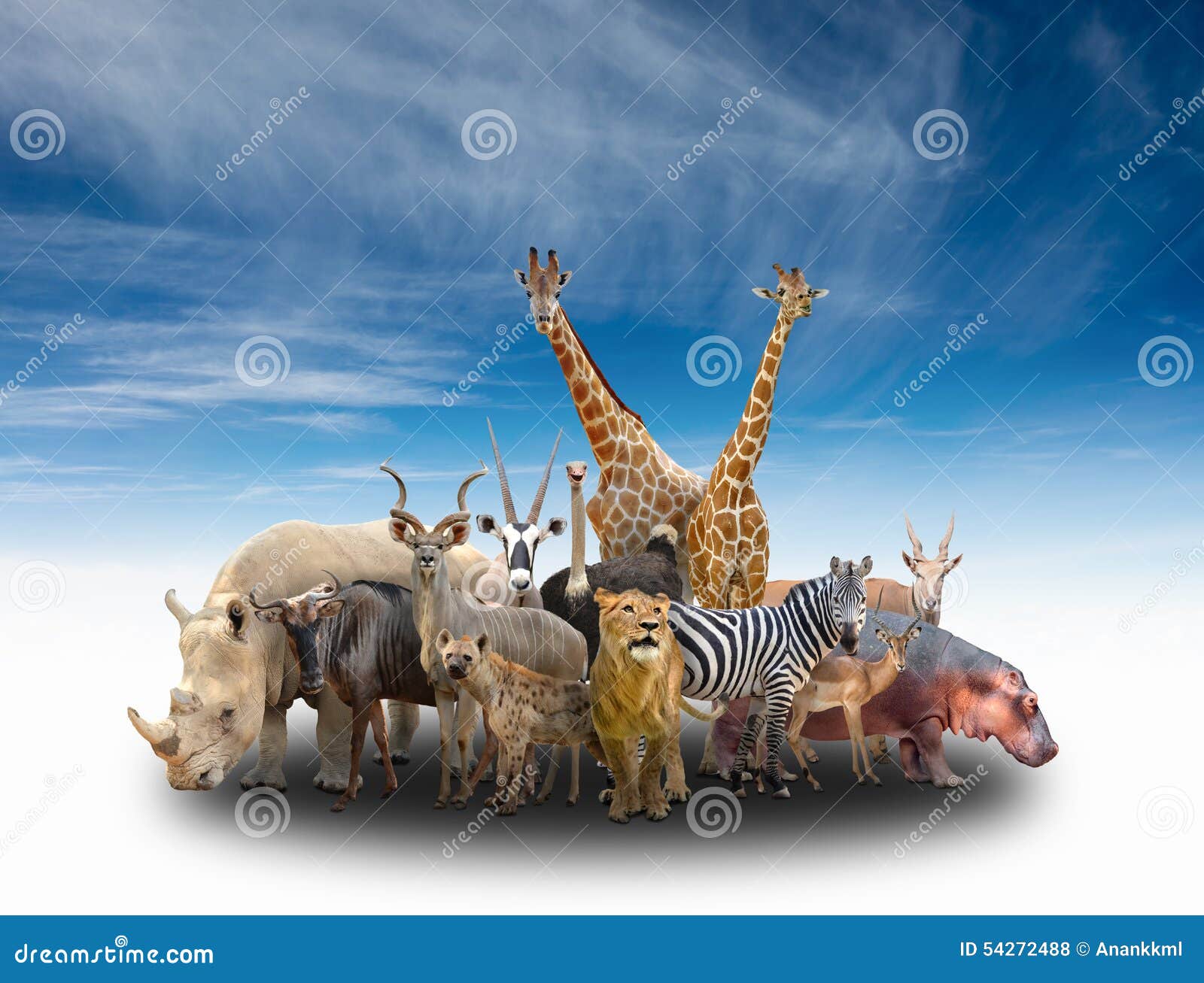 Group of africa animals stock photo. Image of dark, fauna - 54272488