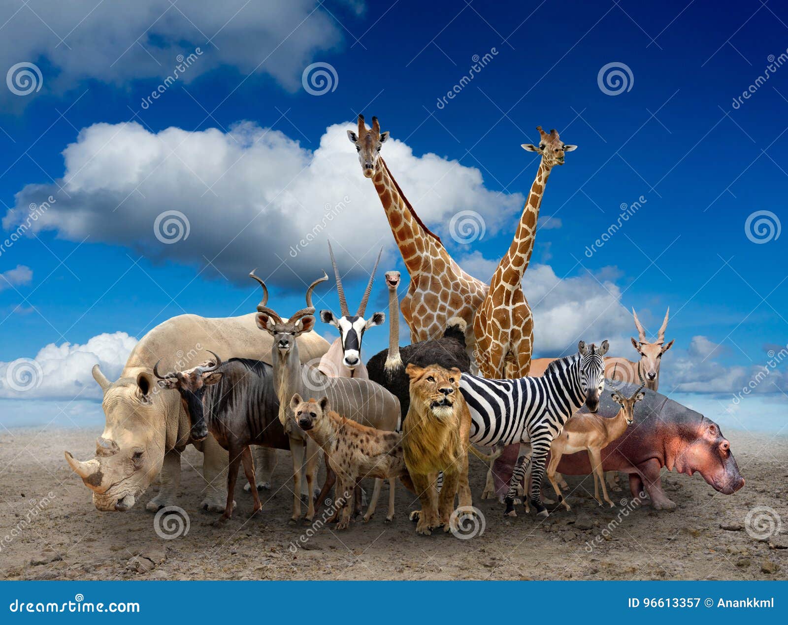 Group of africa animals stock image. Image of background - 96613357