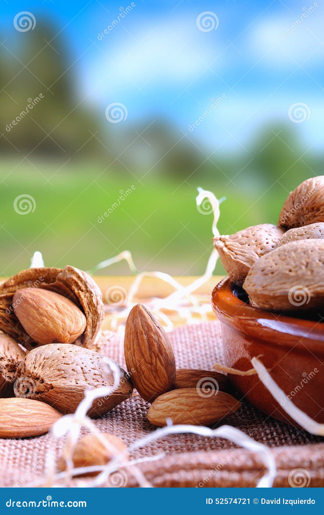 Group of Almonds on a Table in the Field Vertical Composition Stock ...