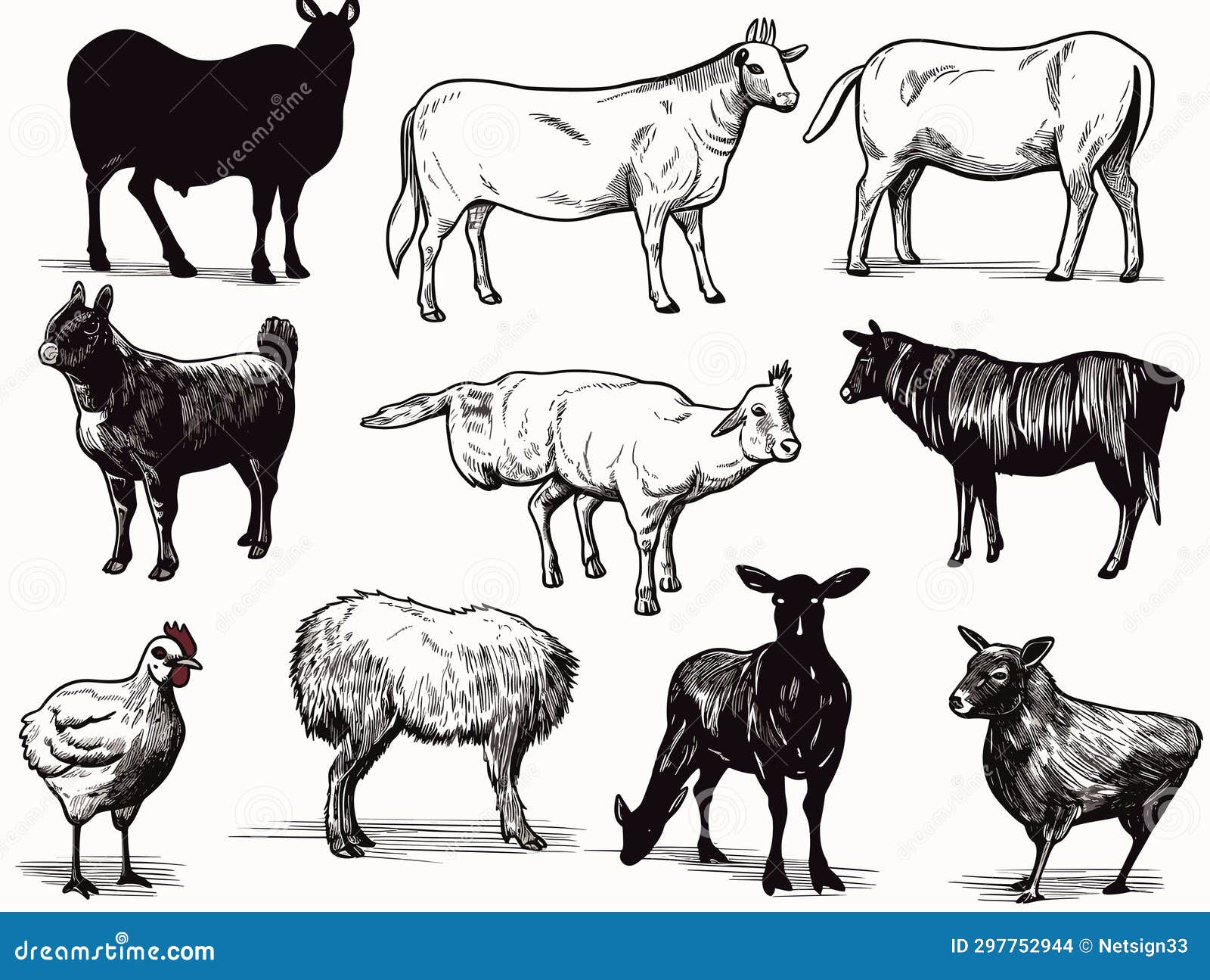A Group of Animals in Different Poses - Set of Vector Drawings of Farm ...