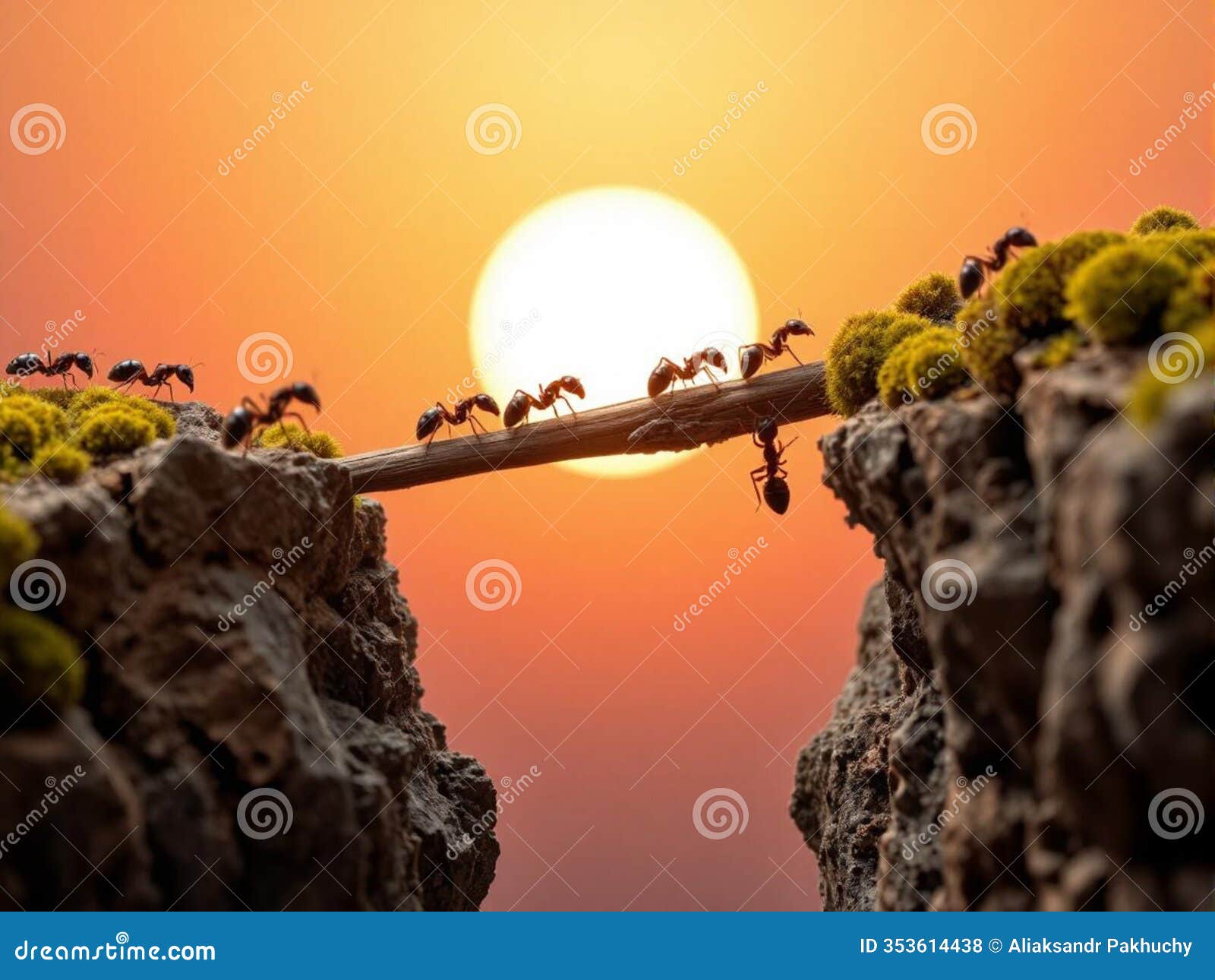 A Group of Ants are Crossing a Bridge Stock Photo - Image of isolated ...