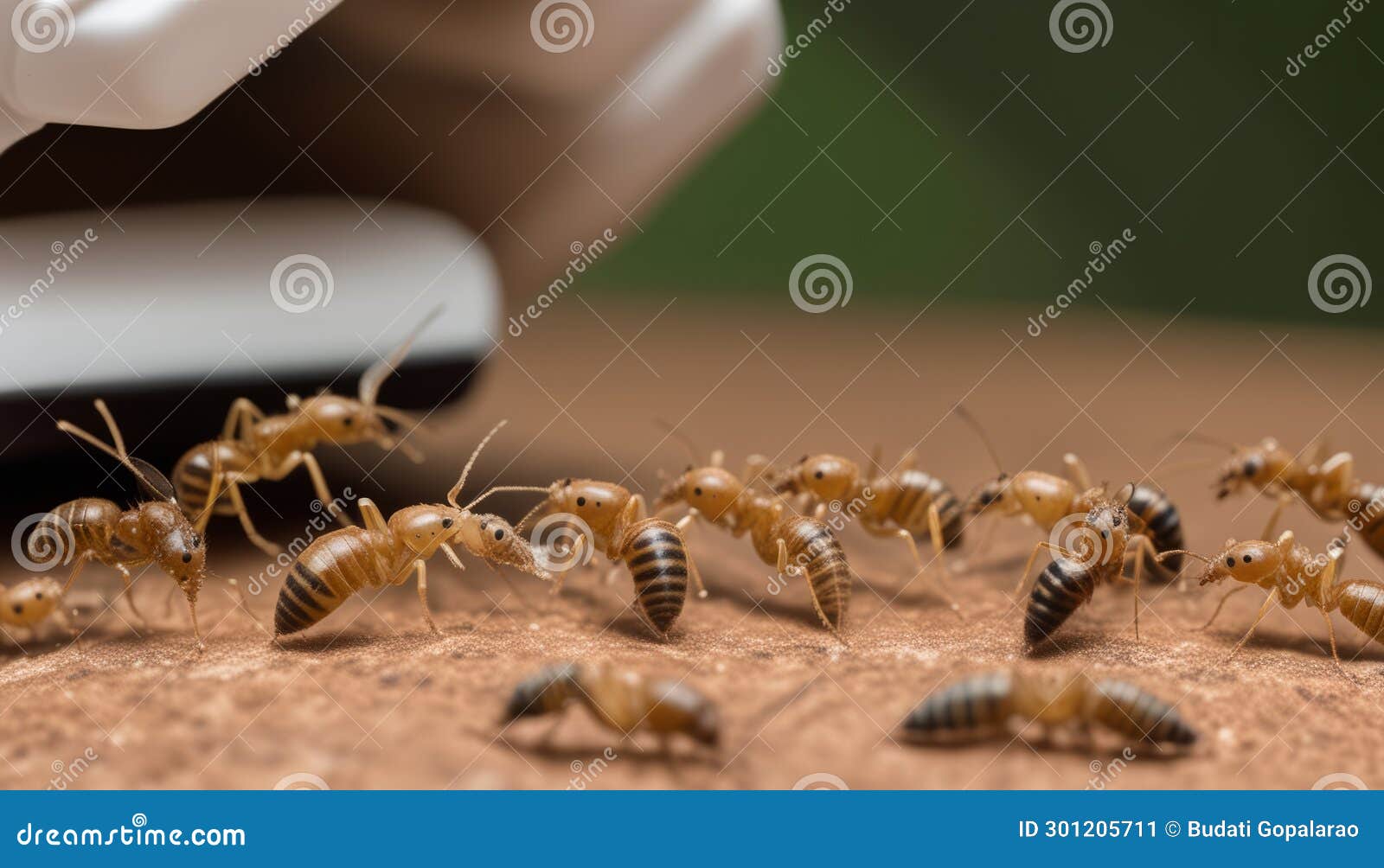 A group of ants on a table stock illustration. Illustration of device ...
