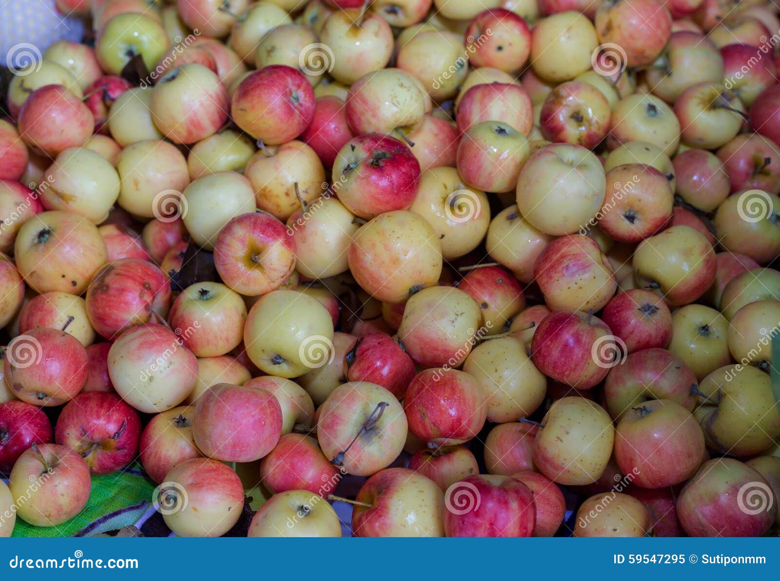 Group Apple stock image. Image of market, organic, ripe - 59547295