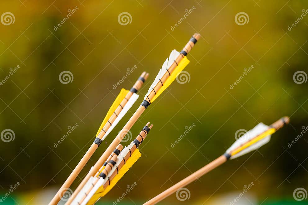 A Group of Arrows are Shown with Yellow and White Tips Stock Image ...