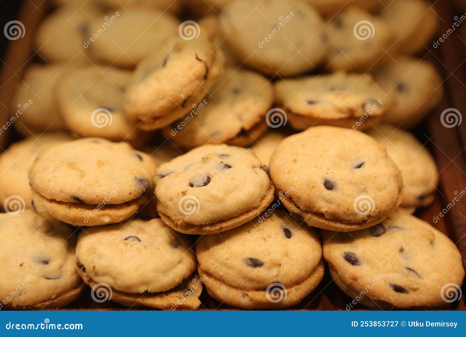 Group Of Assorted Cookies Chocolate Chip Oatmeal Raisin White