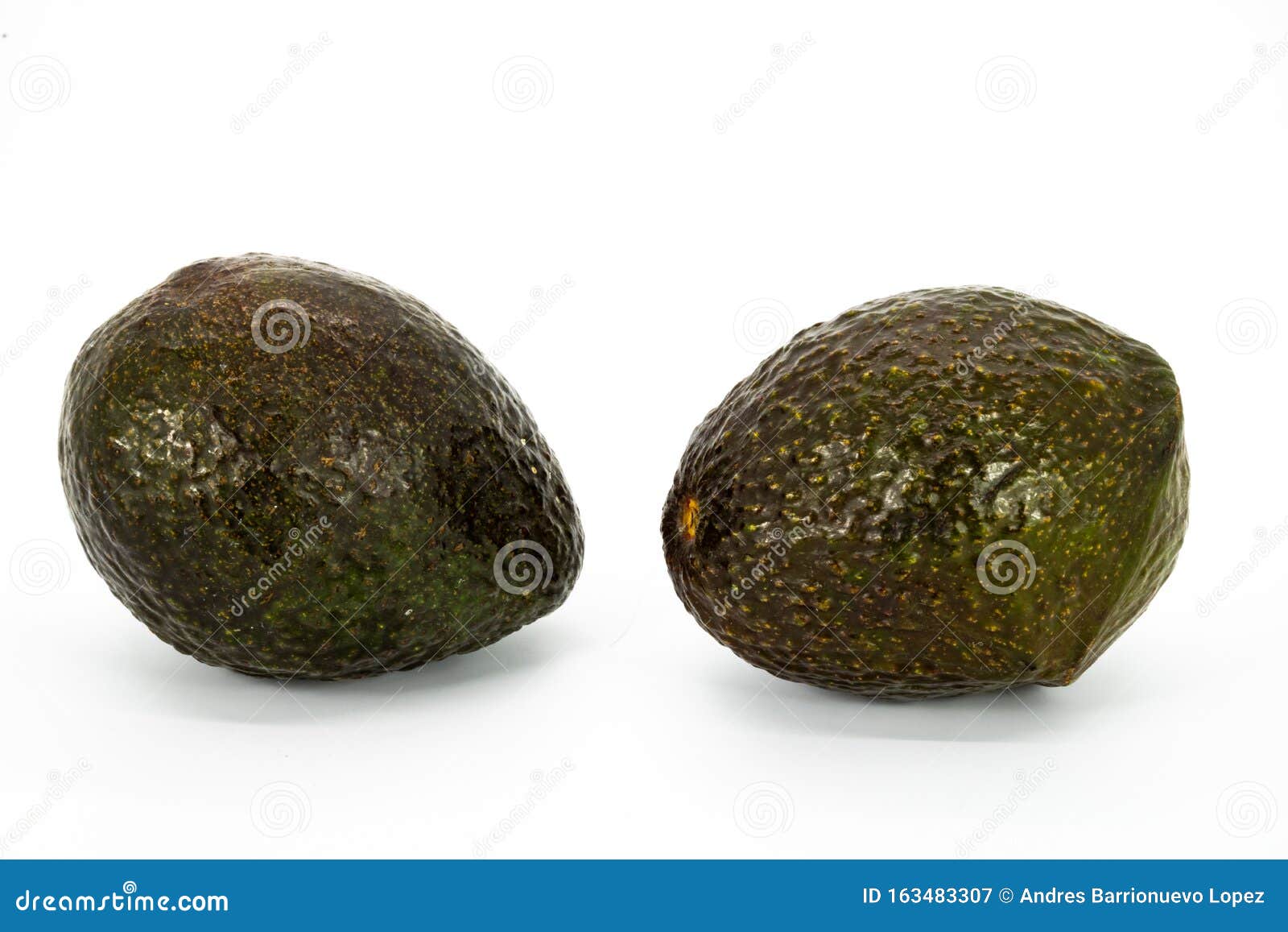Group of Avocados in Composition Stock Image - Image of citrus, green ...