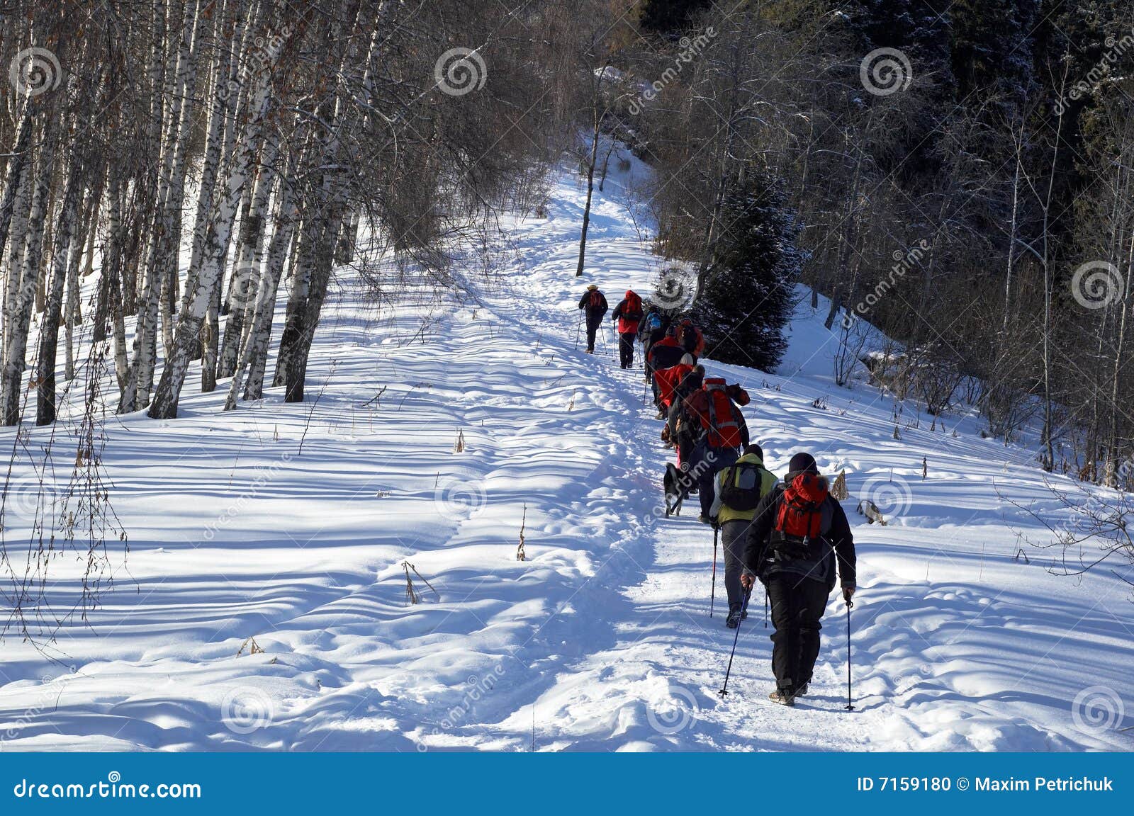 Group of Backpackers in Winter Mountain Stock Photo - Image of mountain ...