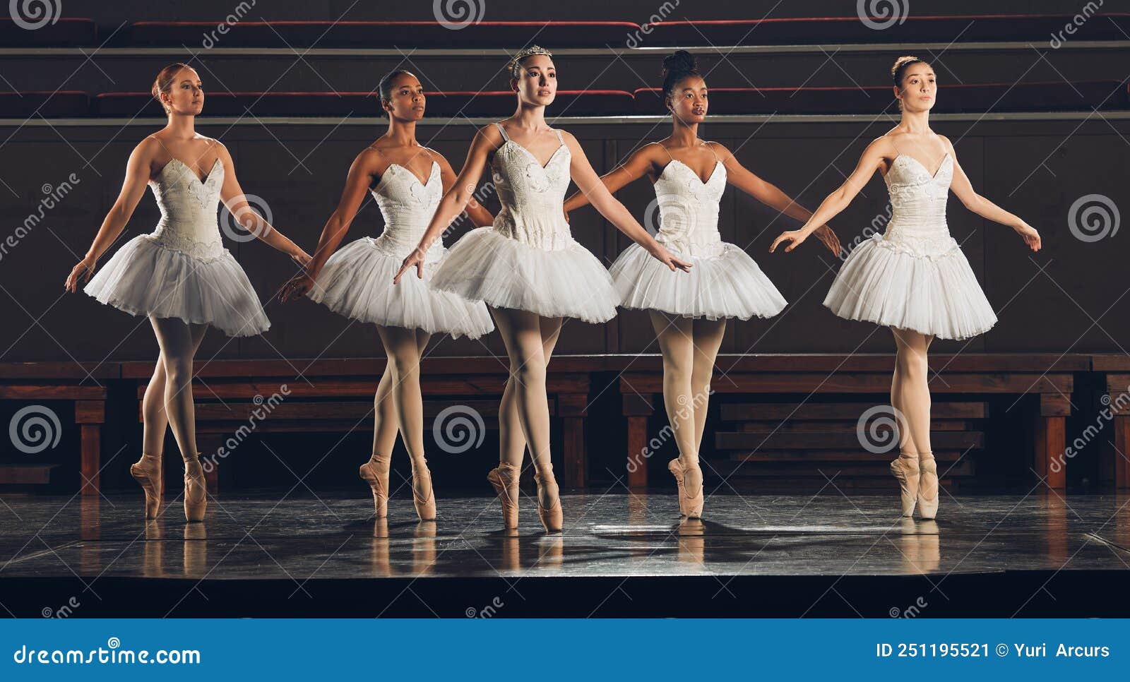 Dance Every Performance As If it Were Your Last. a Group of Ballet ...