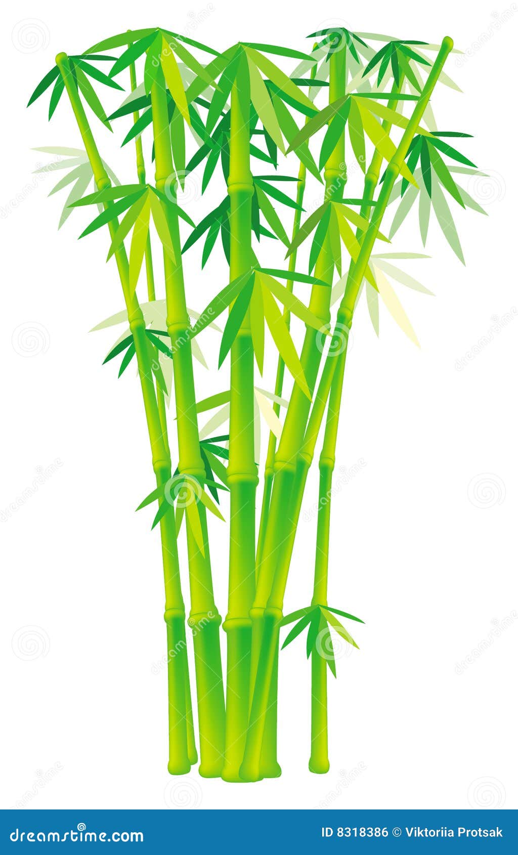 Group of bamboo stalks stock vector. Illustration of relaxation - 8318386