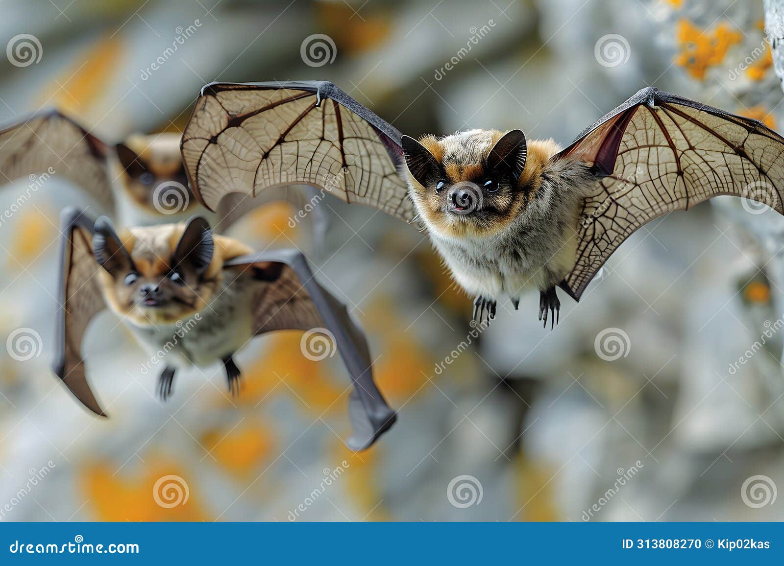 Group of Bats Hanging Upside Down on a Tree Generative AI Stock ...
