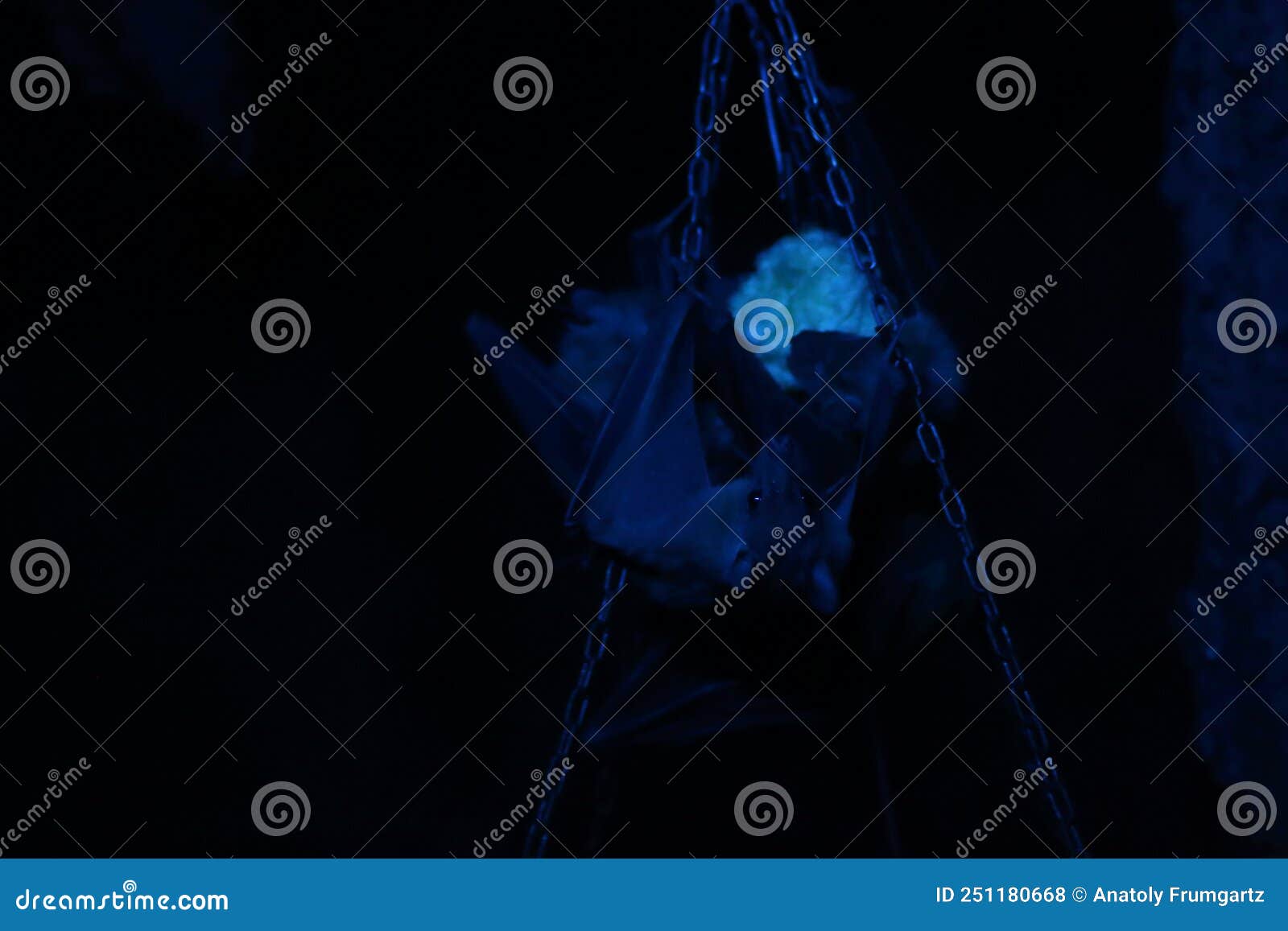 Group of Bats Sitting on Chains in the Dark Stock Photo - Image of ...