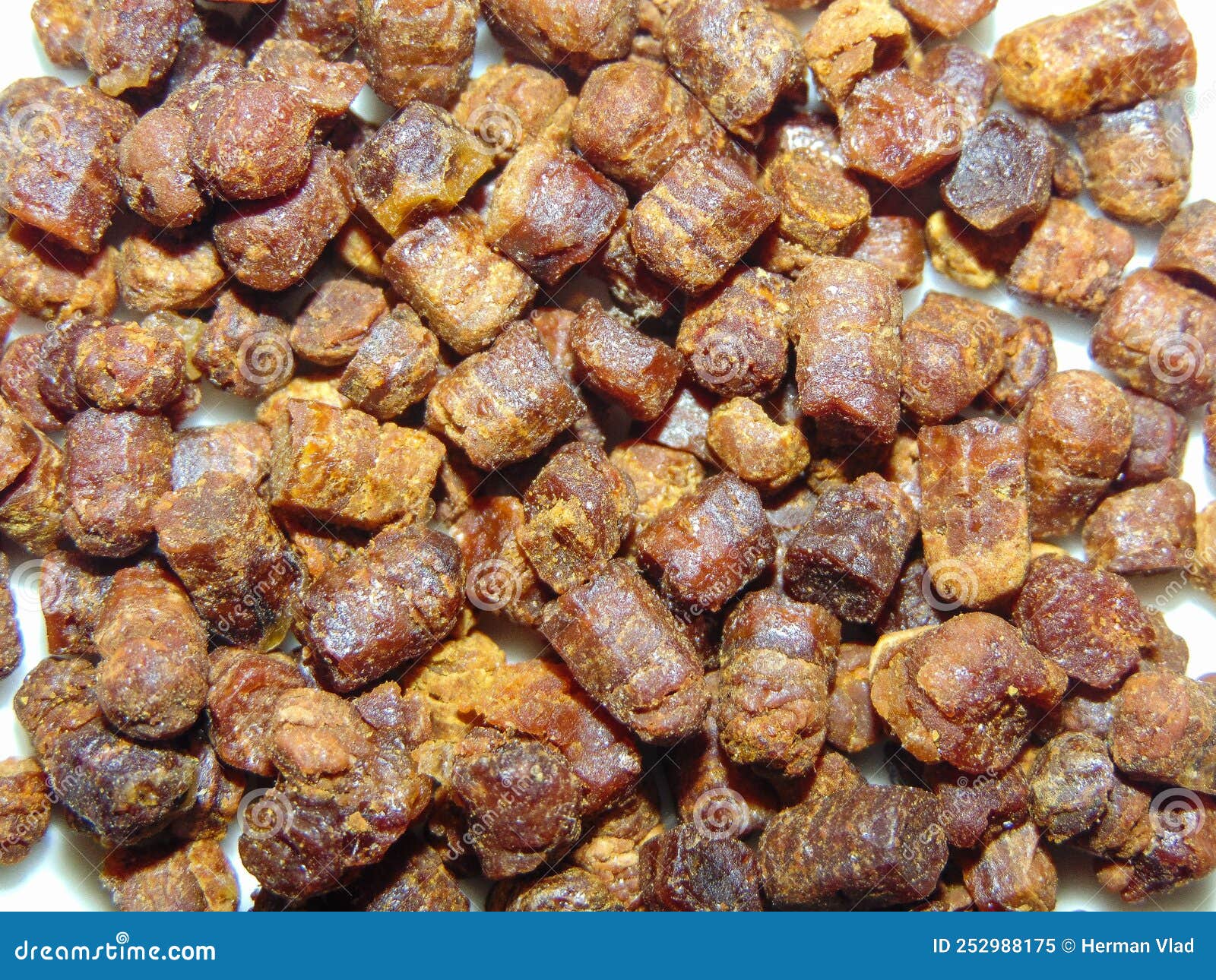 Group of Bee Bread. Macro Bee Bread Stock Image - Image of pollen ...