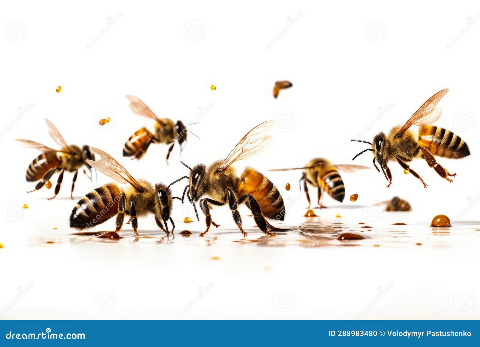Group of Bees Flying in the Air with Honey Drops on Them. Generative AI ...