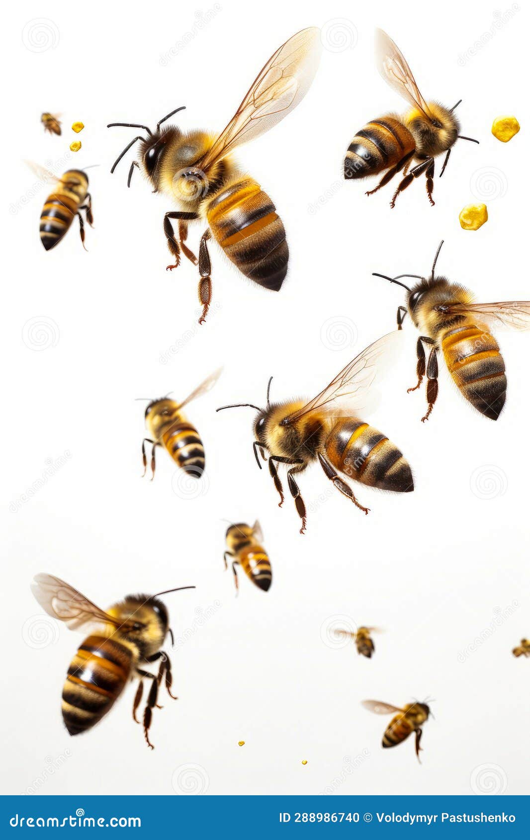 Group of Bees Flying through the Air Together with Bubbles of Honey ...